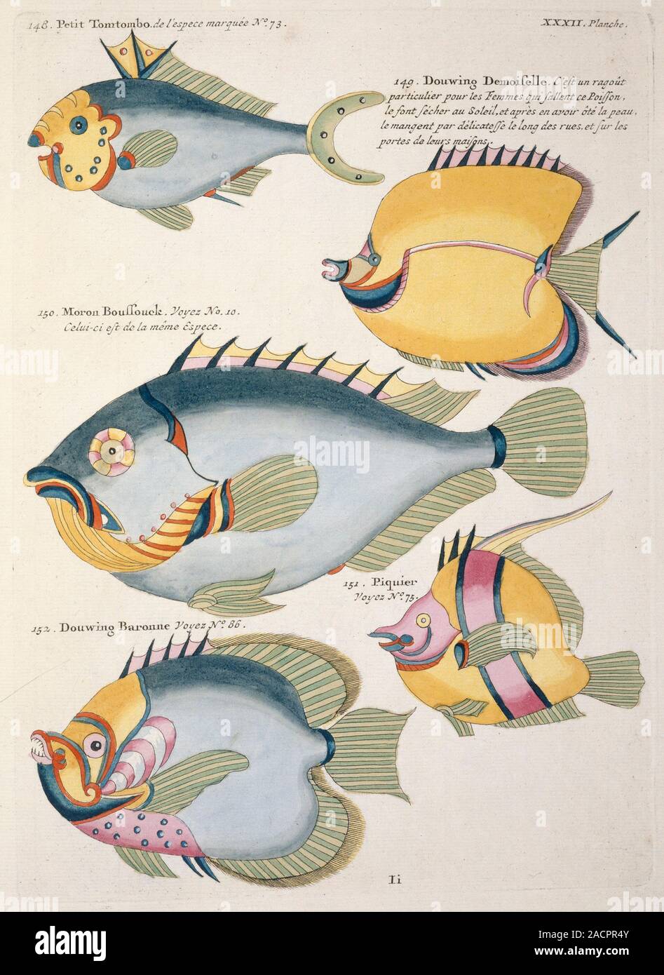 Fish artworks from Renard, 18th century. These five fish are Plate 32 ...