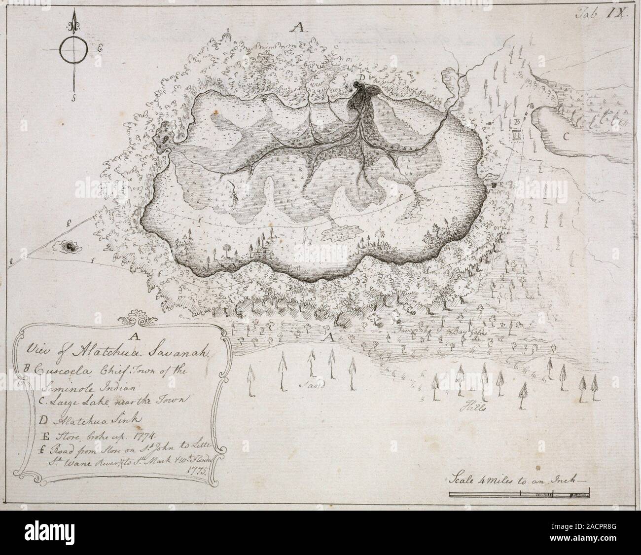 The Great Alachua Savanah in the province of East Florida. Pen and ink ...