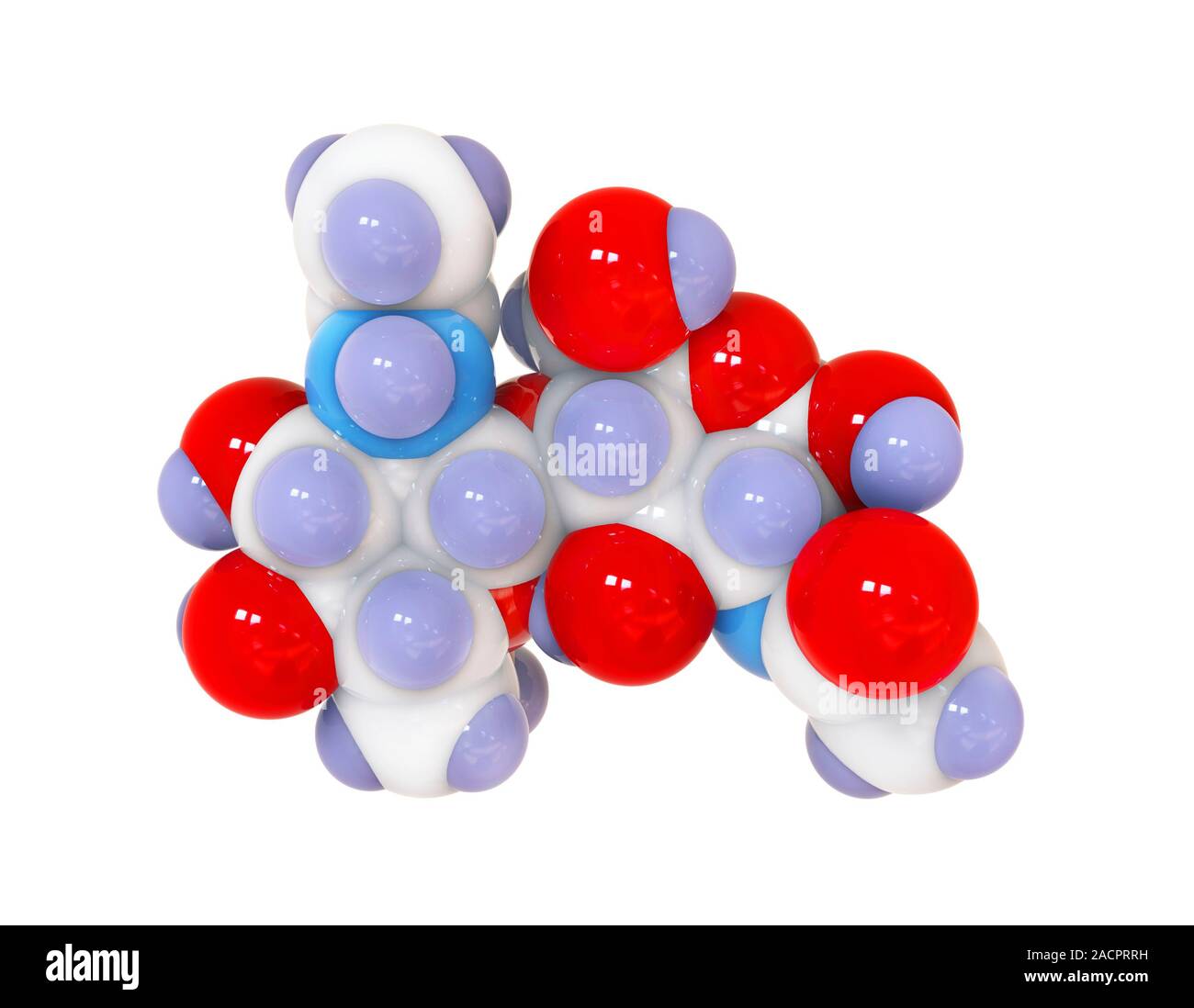 Chitin. Molecular model of chitin, a long-chain polysaccharide polymer ...