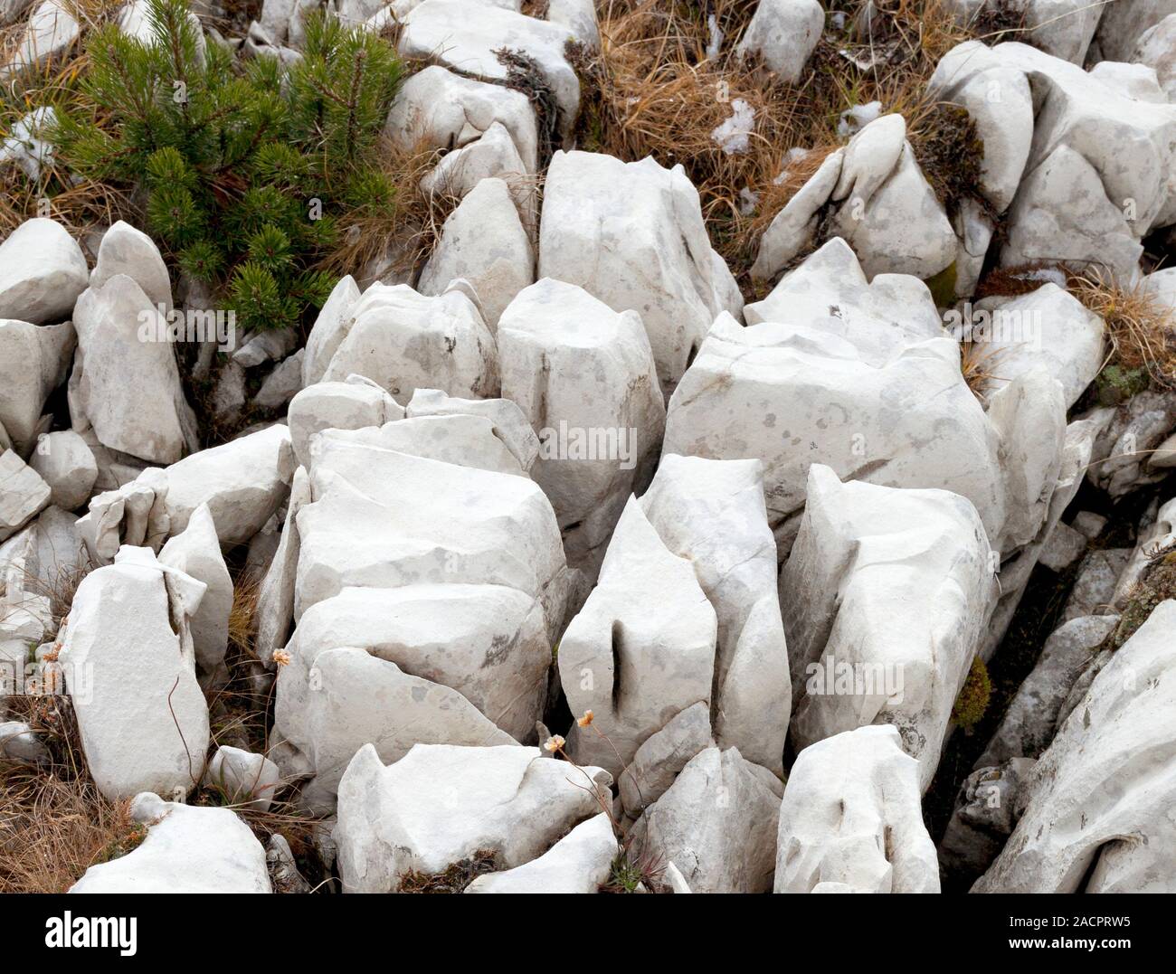 Limestone pavement. This limestone rock has been shaped by natural ...