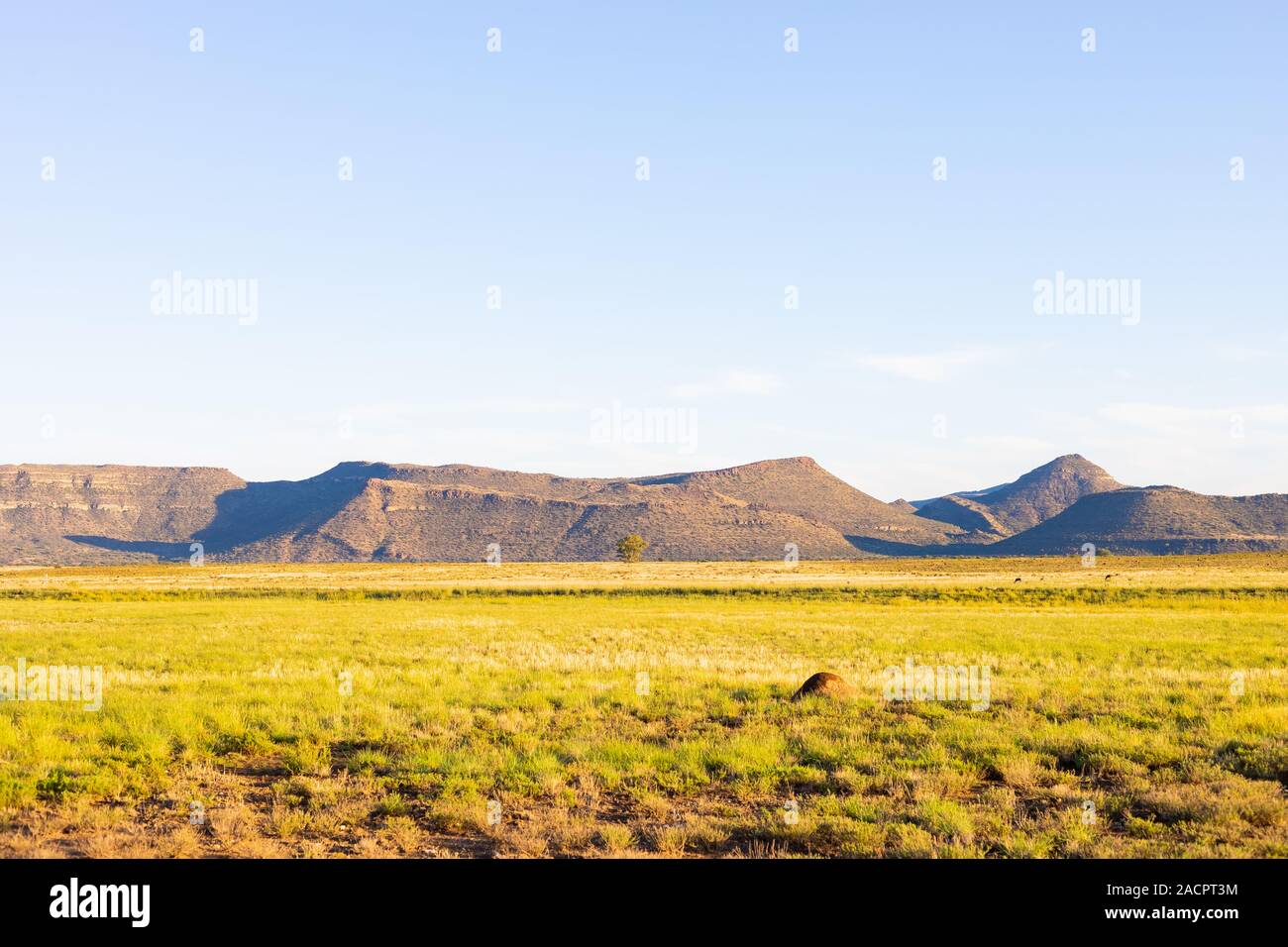 Rural Grassland Farming Area of the Karoo Semi-desert in South Africa ...