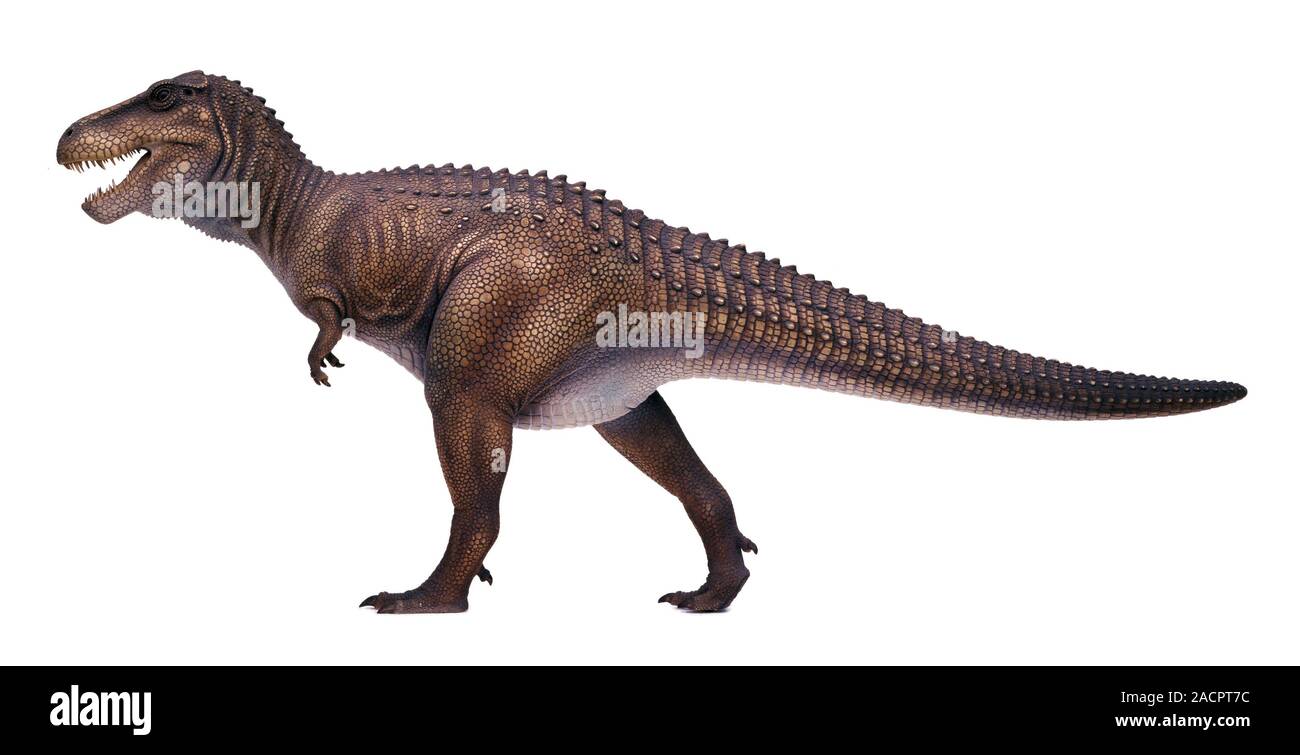 Tyrannosaurus rex model. This carnivorous dinosaur lived during the Upper Cretaceous period, 67 ...