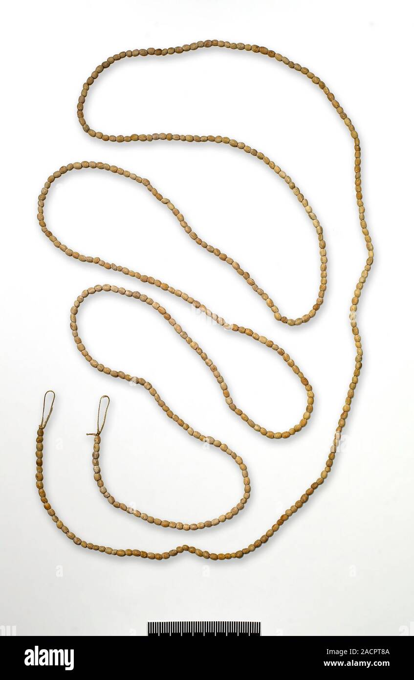 Fossil foraminifera (Alveolina sp.) necklace from Sindh, India. The ...