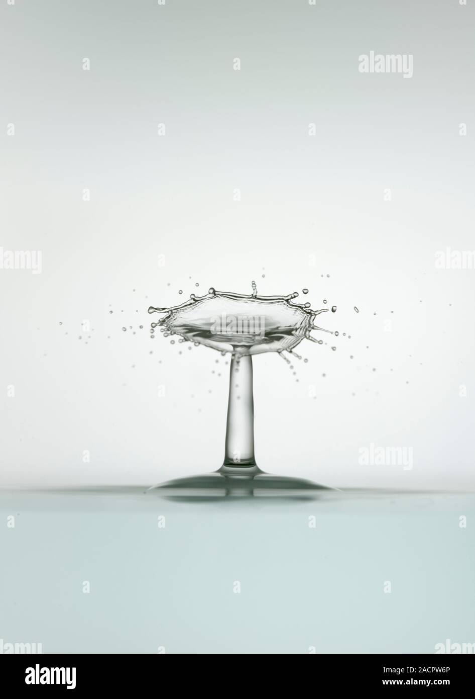 Splash created by a rebounding water drop colliding with a second ...