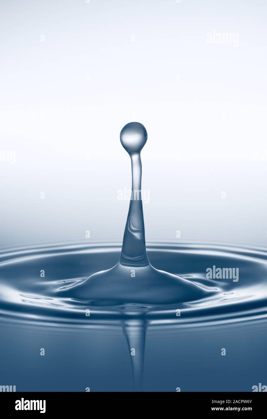 Rebounding water drop. Photographed with high-speed flash. Although ...