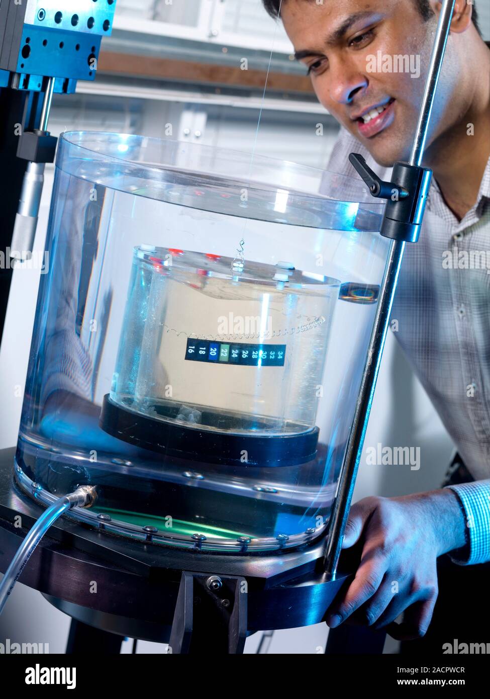 Ultrasound power tests. Researcher carrying out buoyancy tests to ...