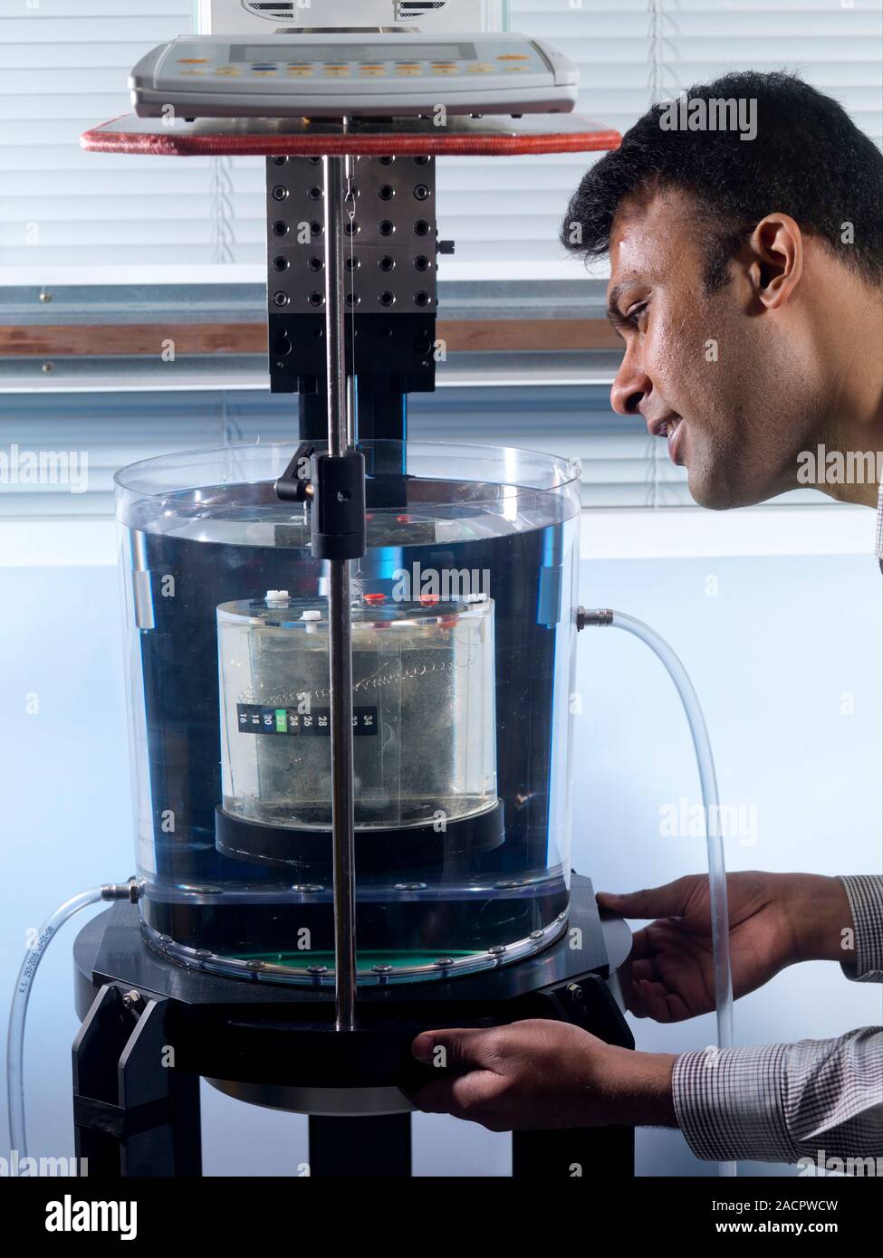 Ultrasound power tests. Researcher carrying out buoyancy tests to ...