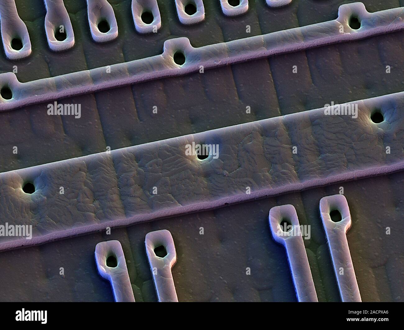 Computer processor chip. Coloured scanning electron micrograph of a ...