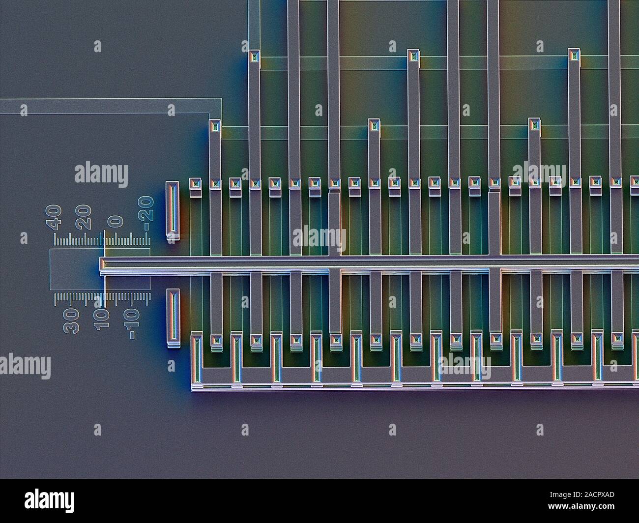 MEMS linear motion actuator device. Coloured scanning electron ...