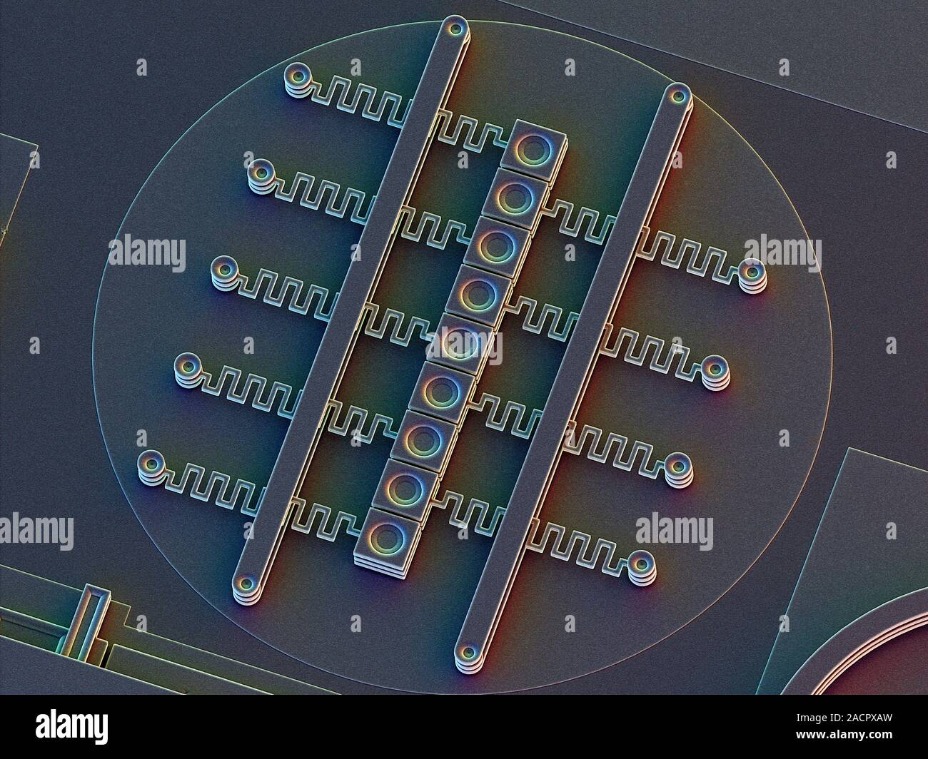 MEMS force measurement device. Coloured scanning electron micrograph of ...