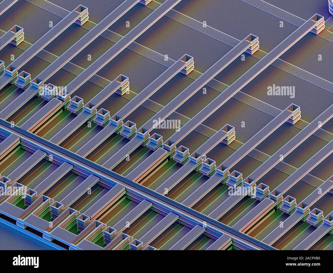 MEMS linear actuator transducer. Coloured scanning electron micrograph ...