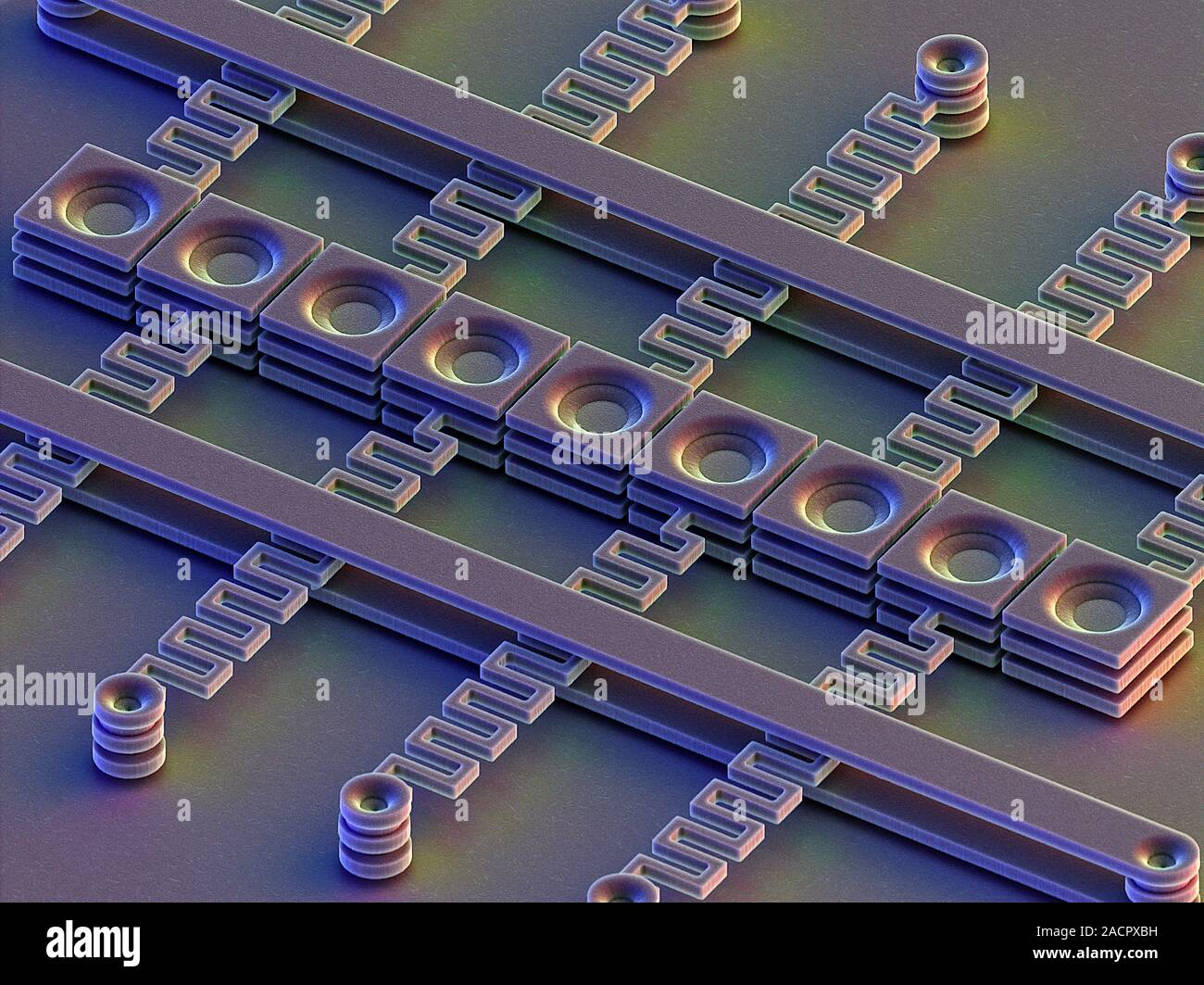 MEMS force measurement device. Coloured scanning electron micrograph of ...