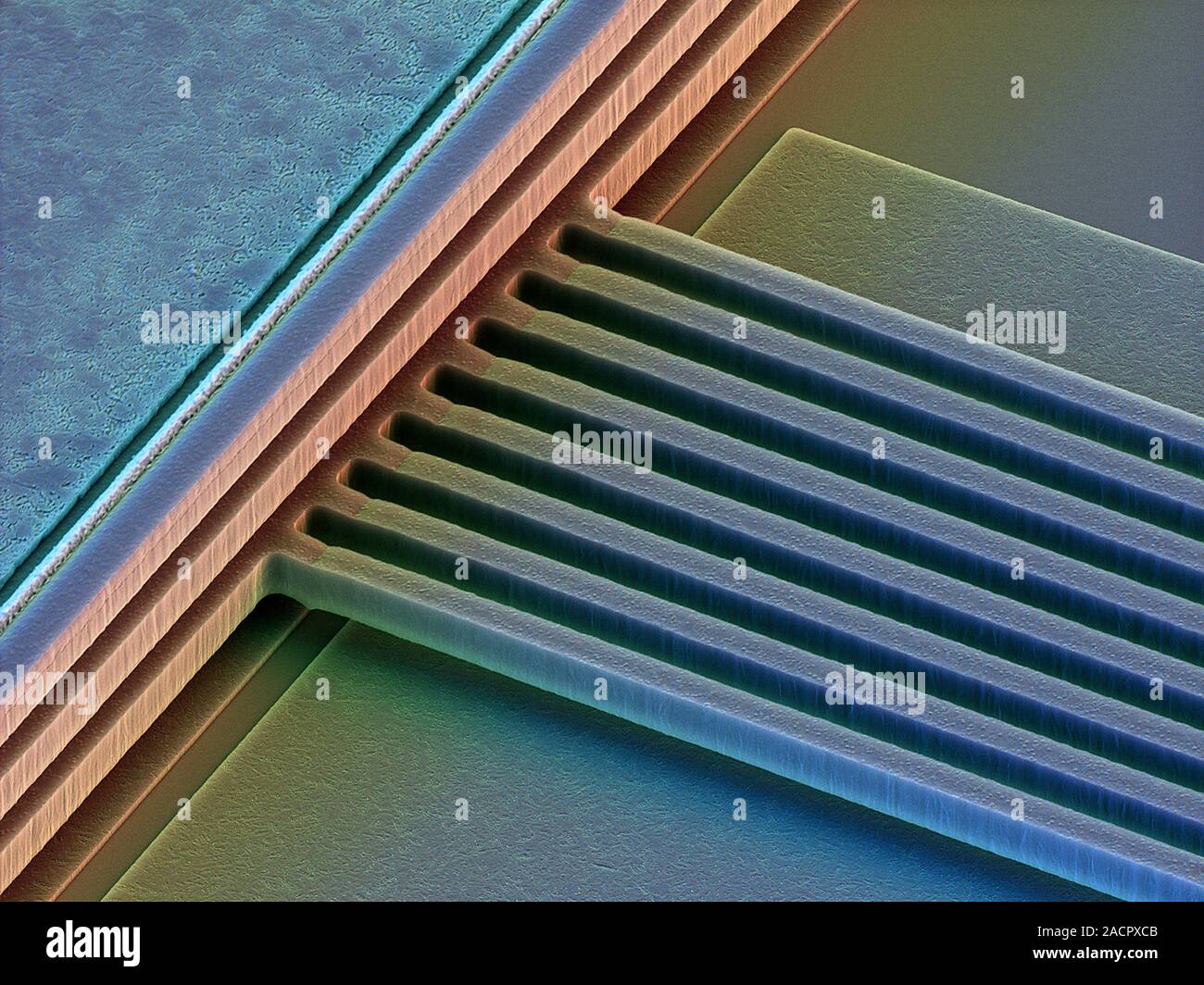 MEMS electrothermal actuator device. Coloured scanning electron ...