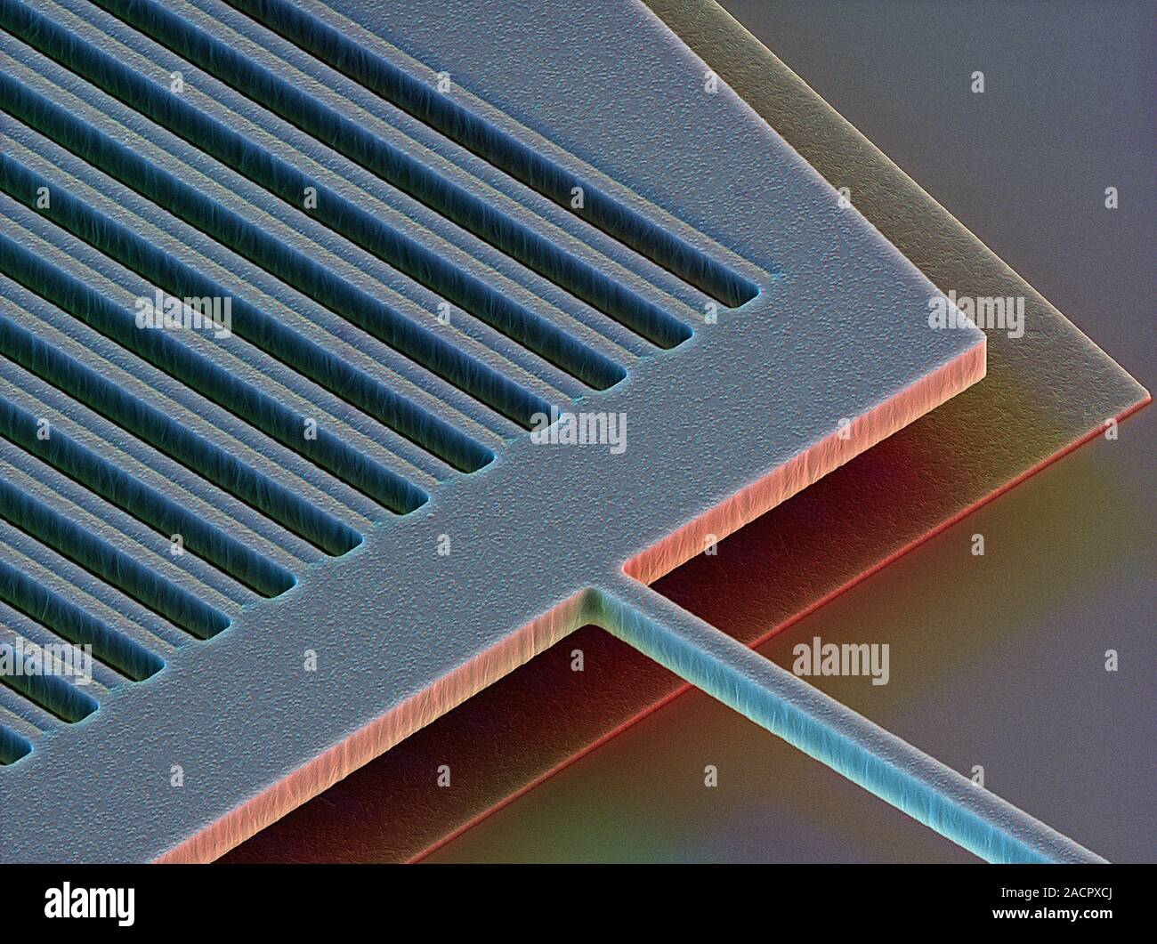 MEMS nanophotonic filter. Coloured scanning electron micrograph of a ...