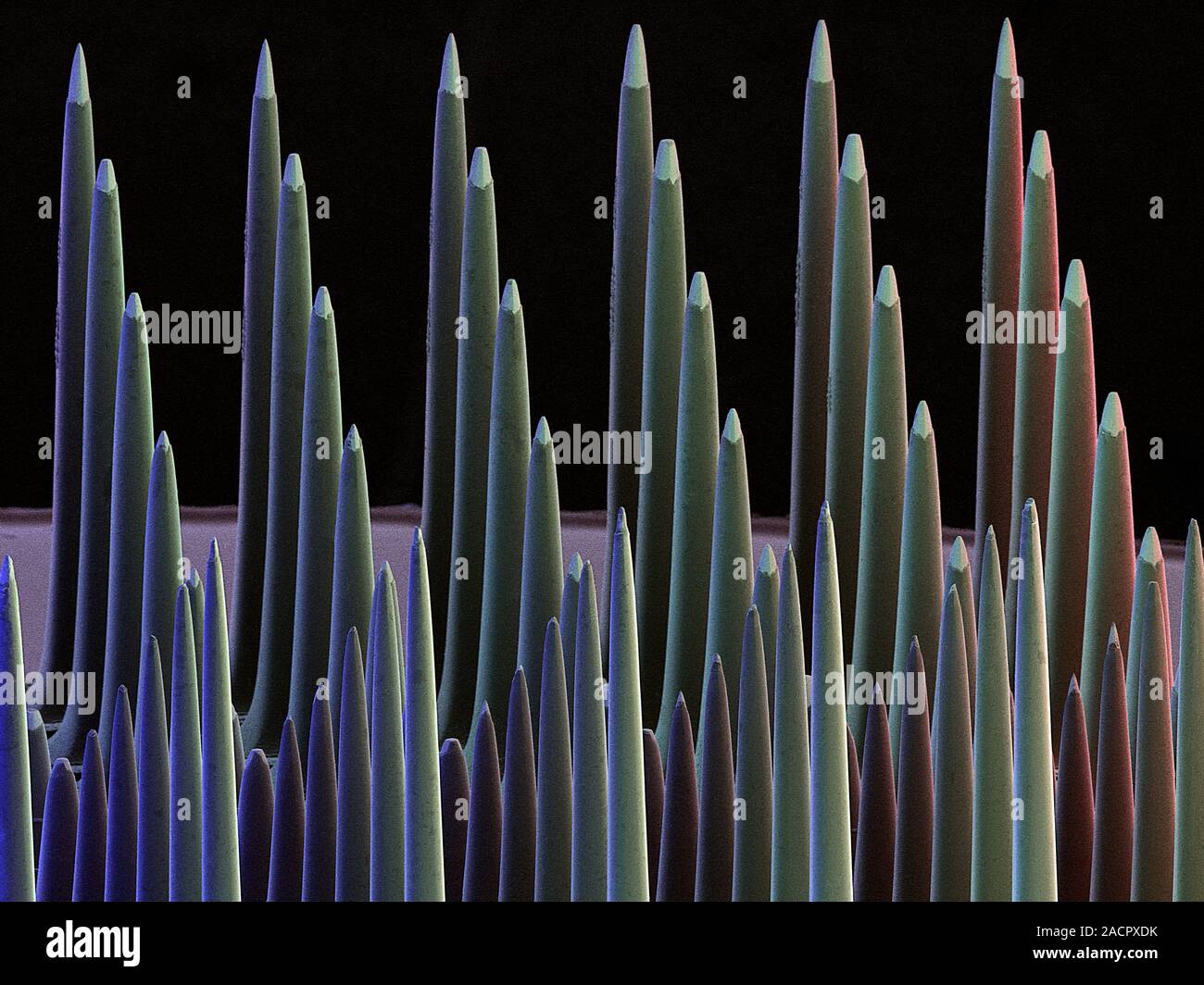 Mems Neural Interface Chip Coloured Scanning Electron Micrograph Of A