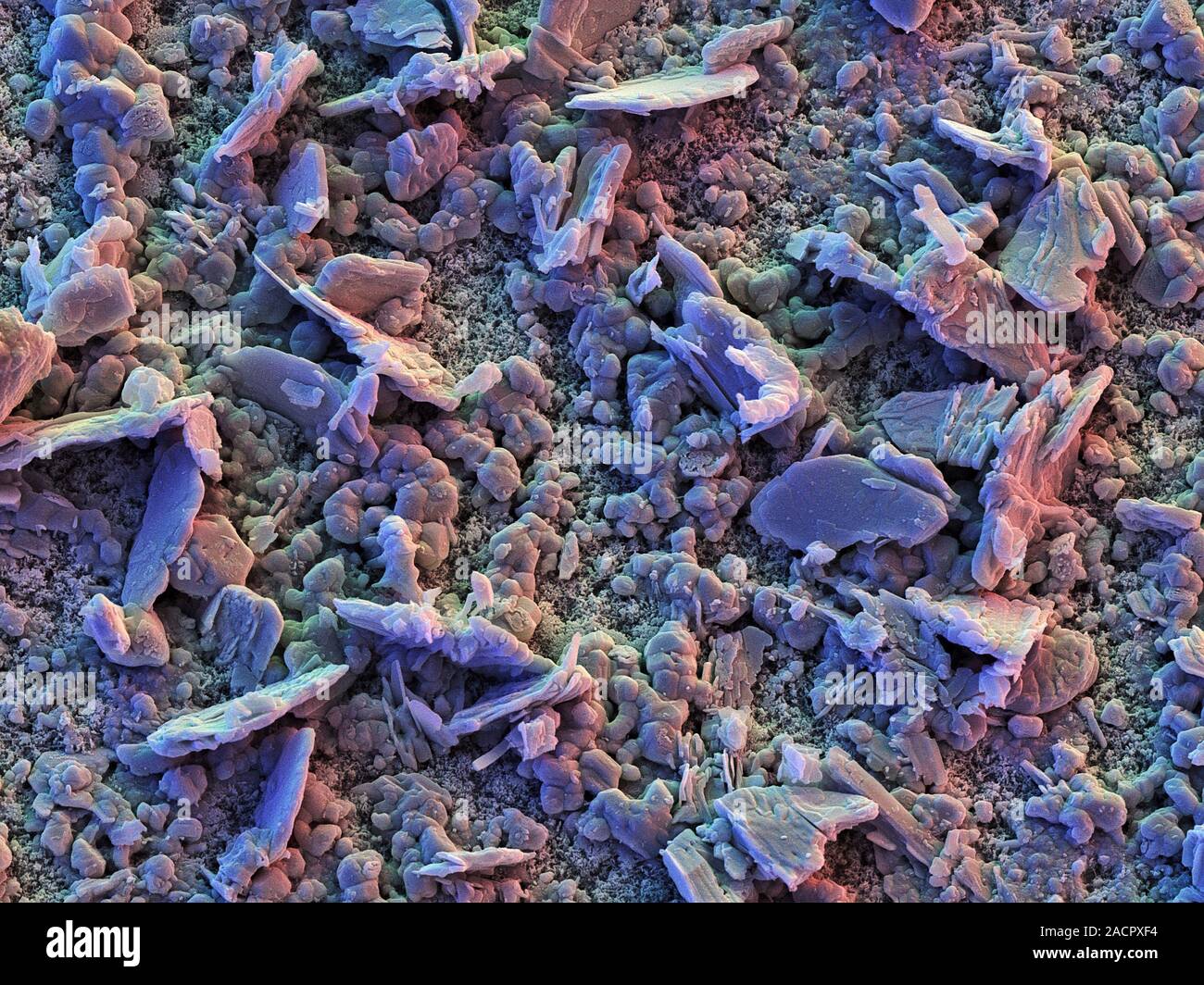 Solar cell material. Coloured scanning electron micrograph (SEM) of a ...