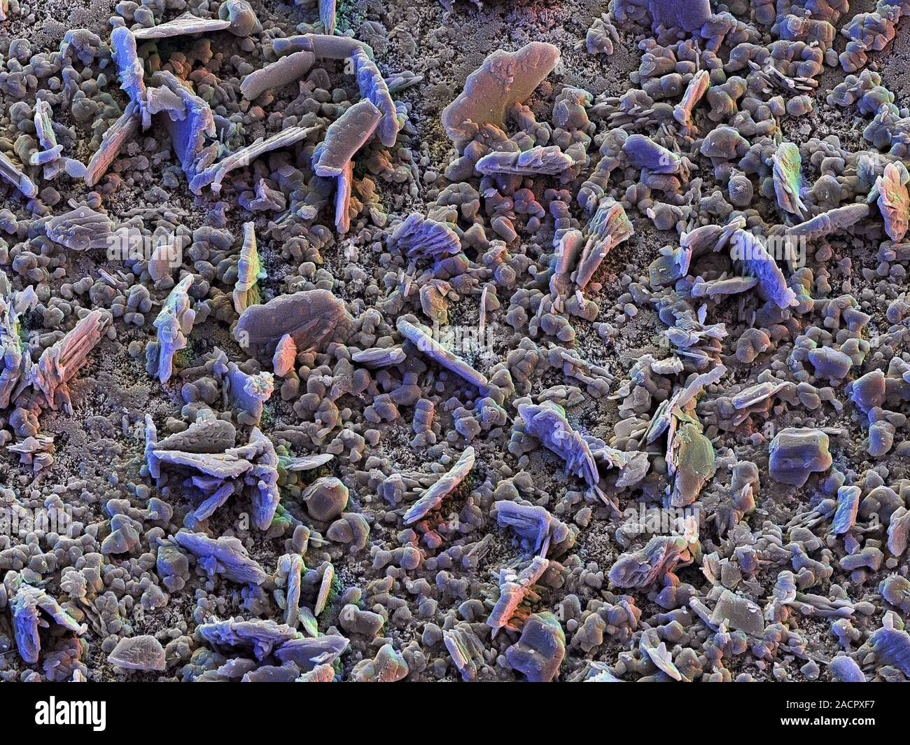 Solar cell material. Coloured scanning electron micrograph (SEM) of a ...