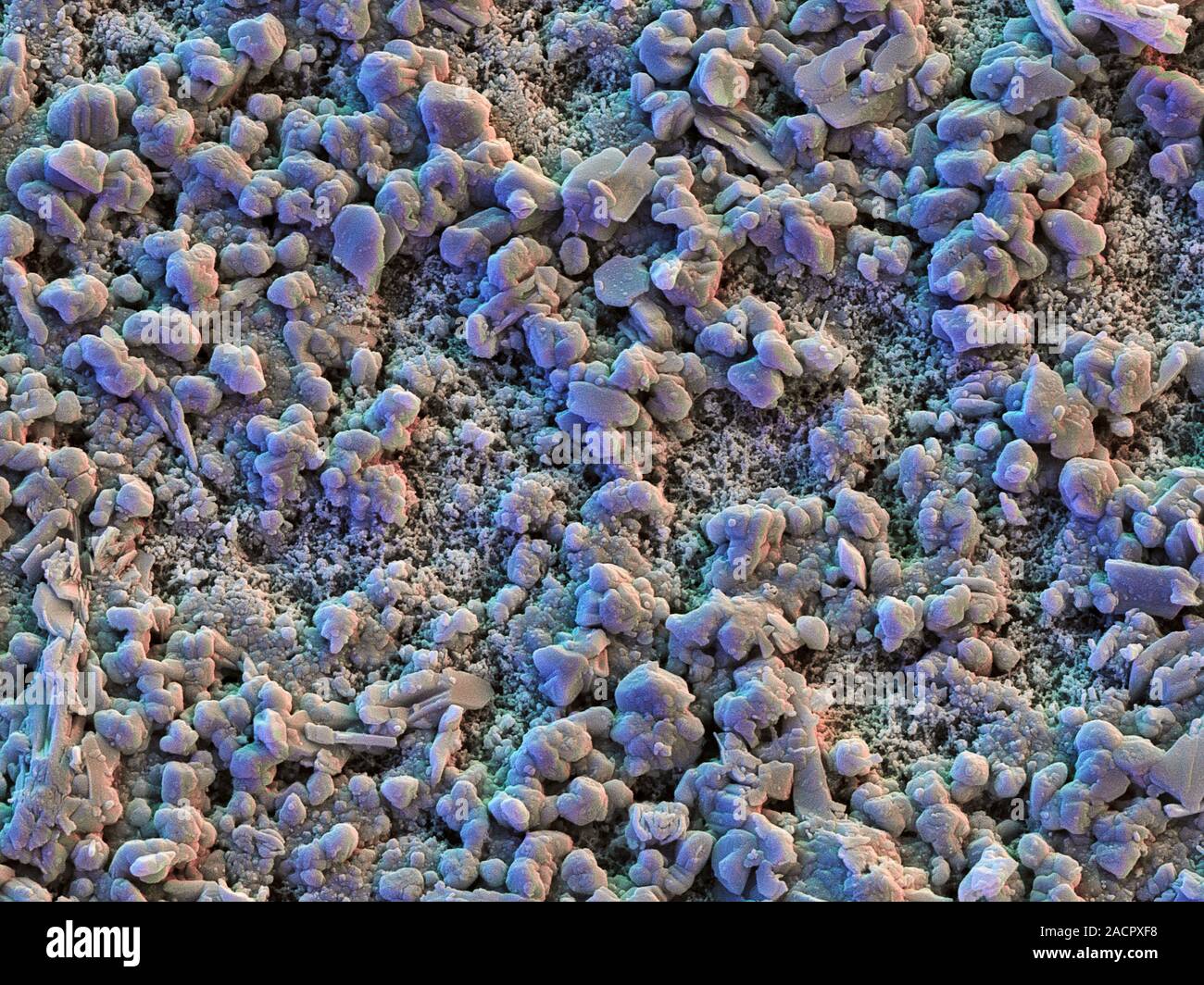 Solar cell material. Coloured scanning electron micrograph (SEM) of a ...