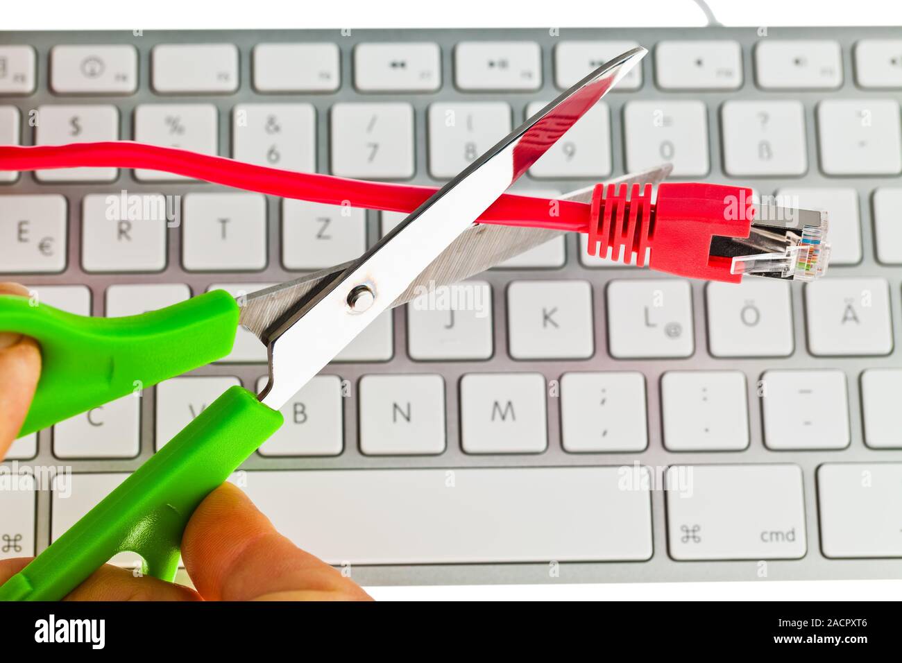 Network cable of a computer Stock Photo - Alamy
