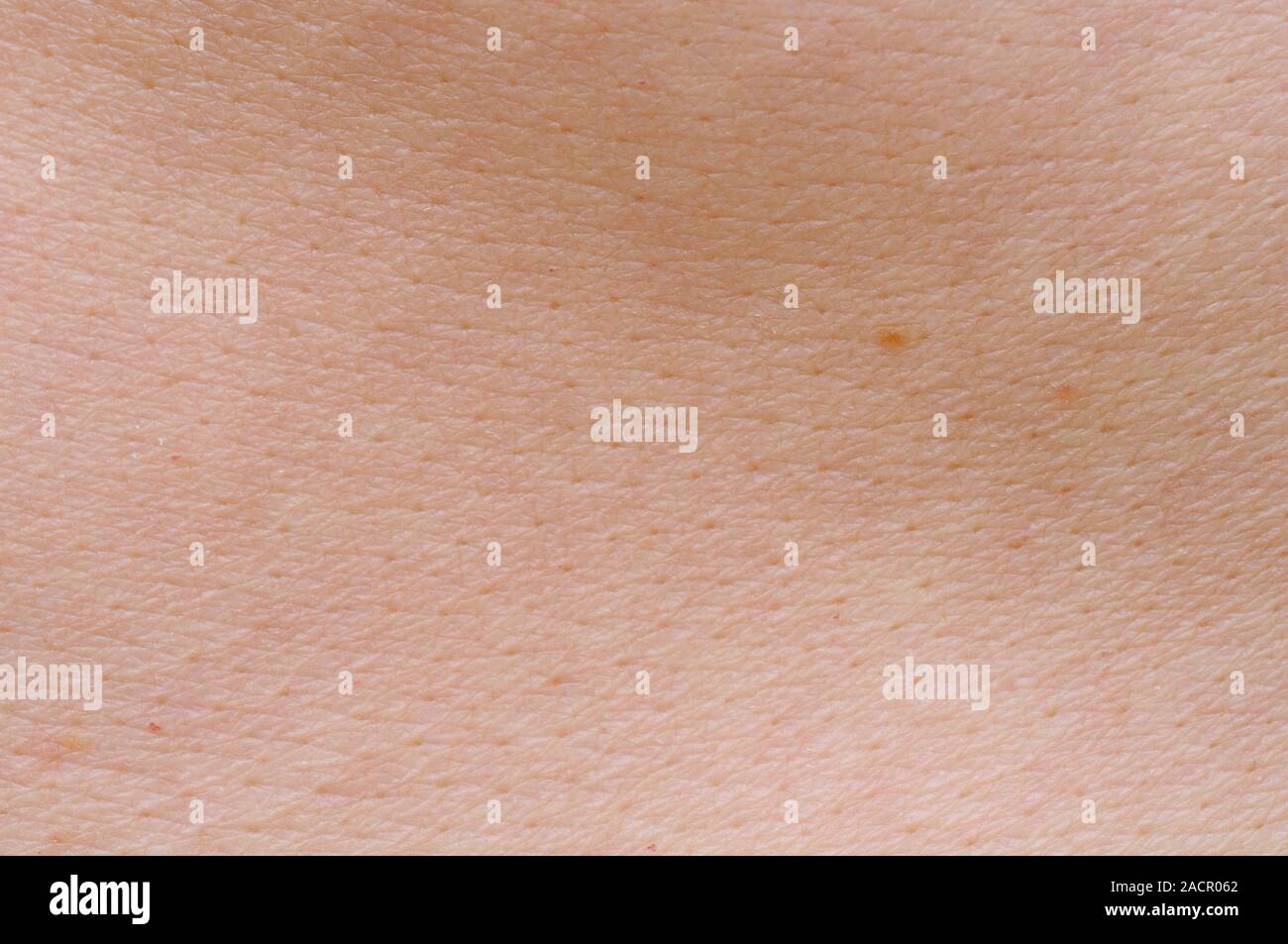 Female skin. Close-up of the healthy skin of a woman Stock Photo - Alamy