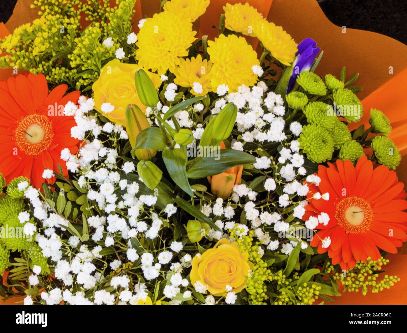 Various cut flowers, background Stock Photo - Alamy