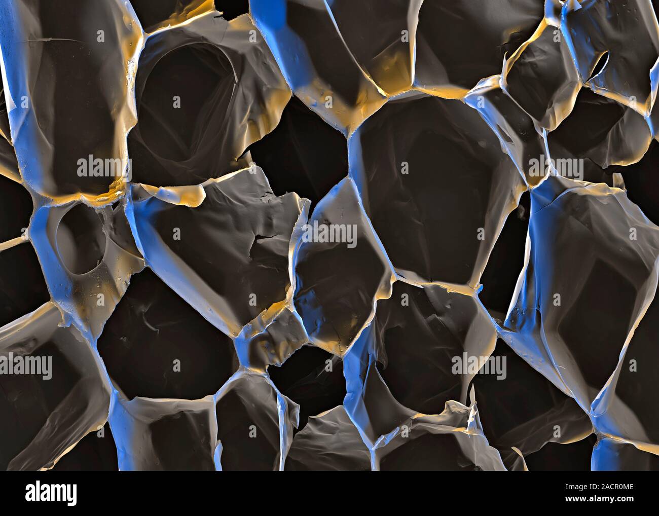 Polystyrene foam. Coloured scanning electron micrograph (SEM) of a ...