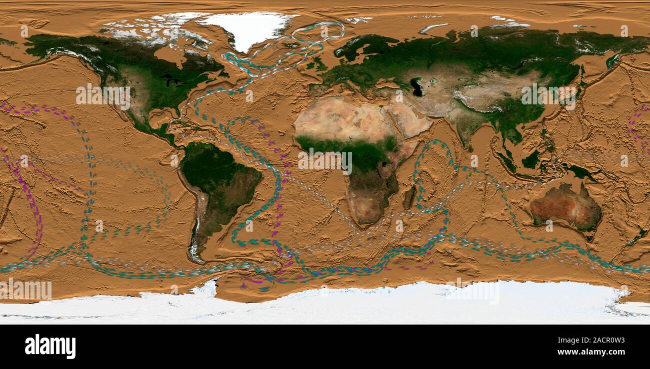 Thermohaline circulation. Computer artwork showing all 3 layers ...