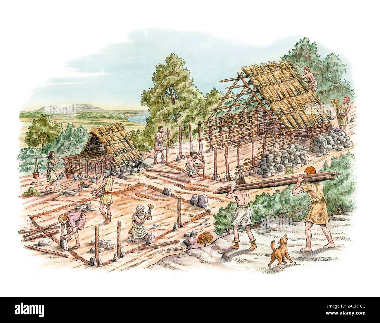 Bronze Age house building. Artwork of humans building houses in Bronze ...