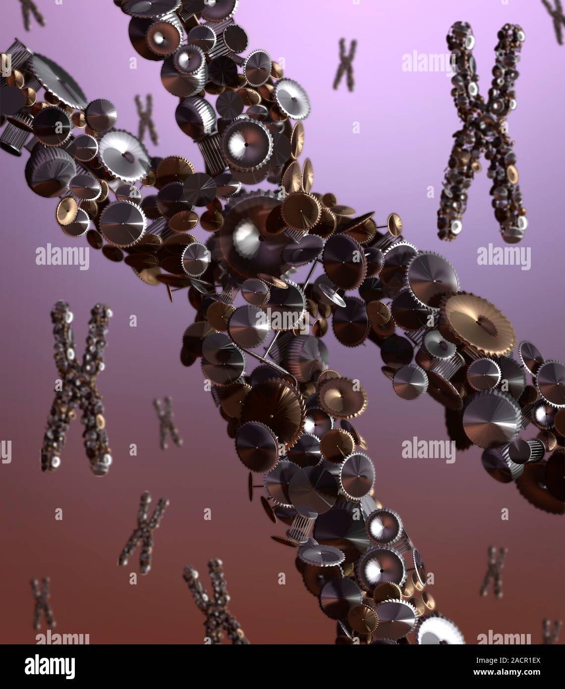 Chromosome as a machine, conceptual image. Computer artwork of a human ...