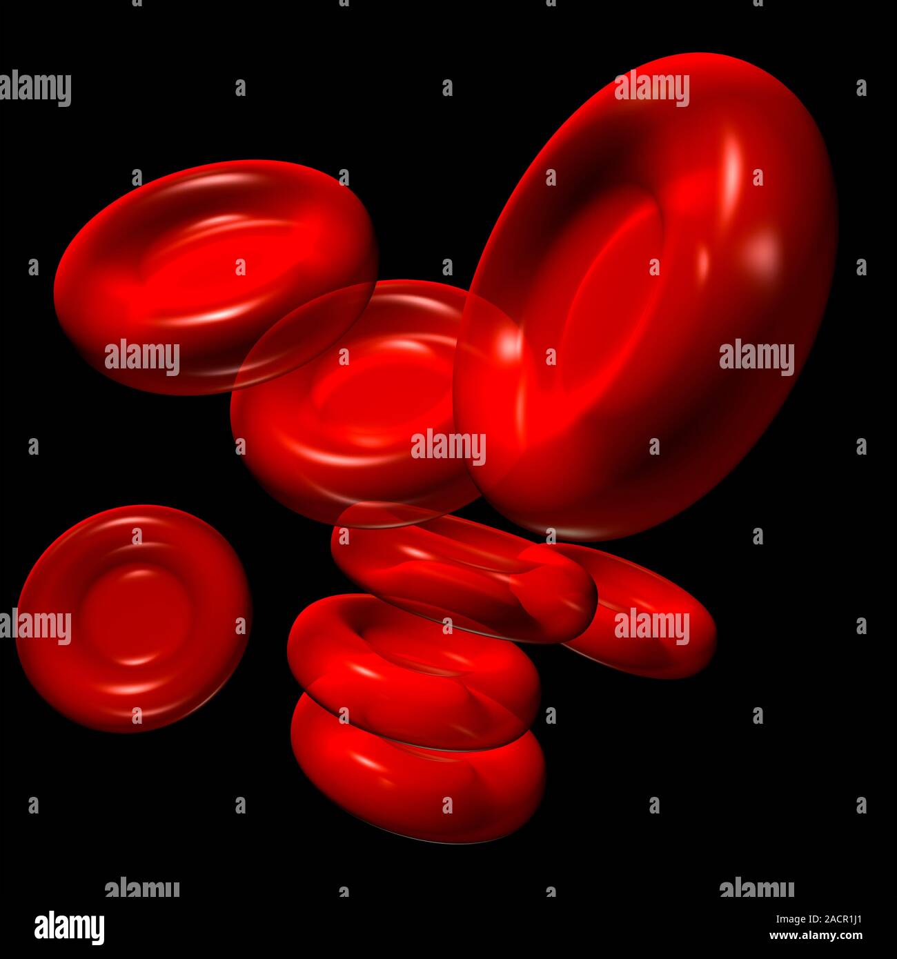 This image may not be used in educational posters Red blood cells ...