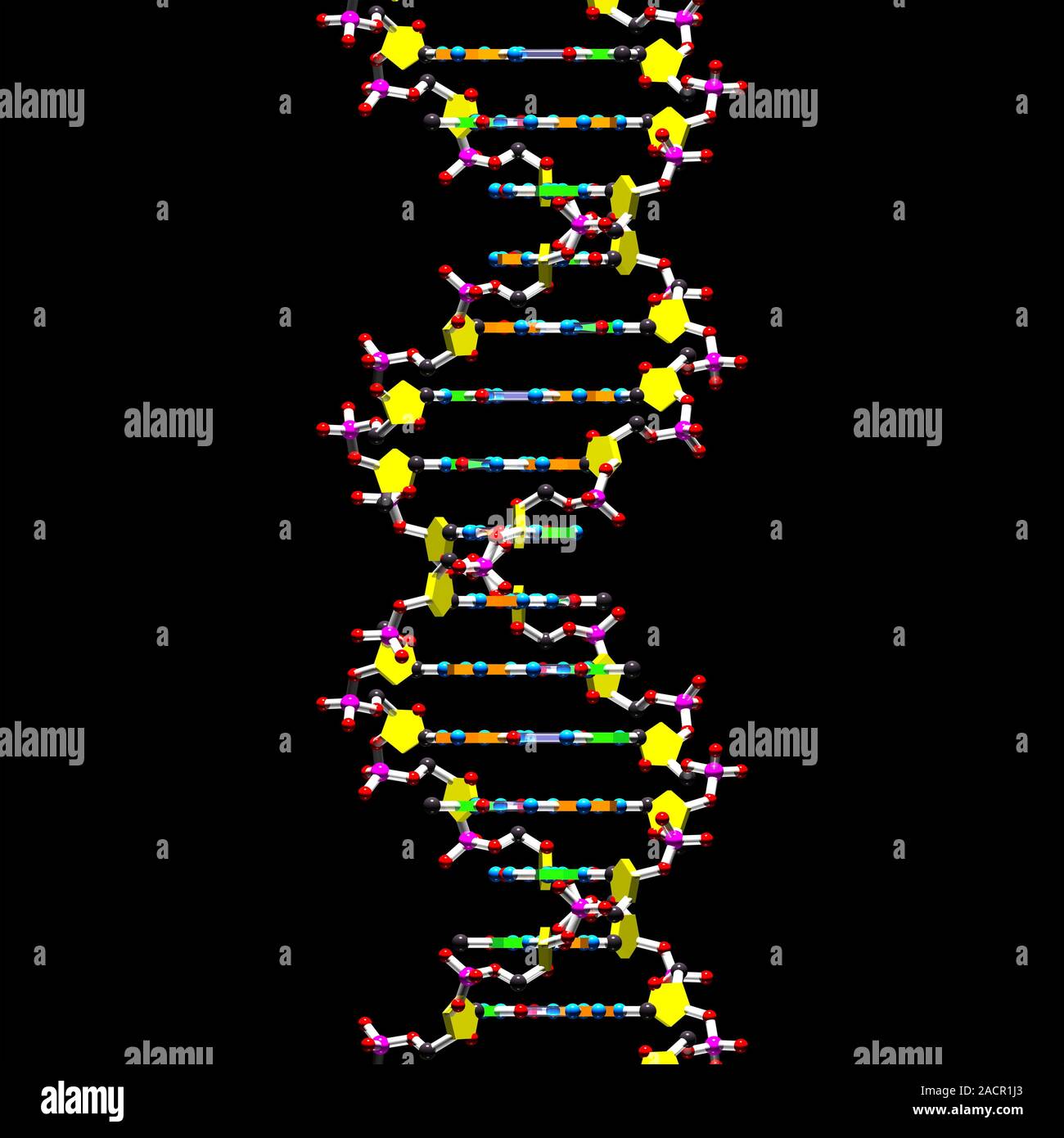 This image may not be used in educational posters DNA molecule ...