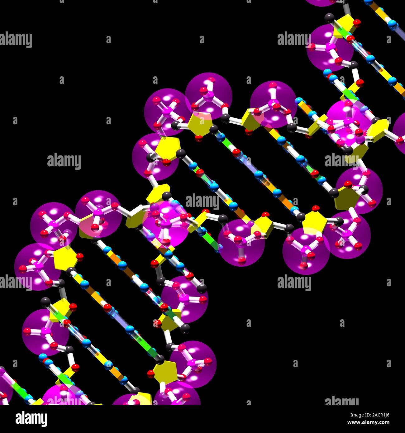 This image may not be used in educational posters DNA molecule ...