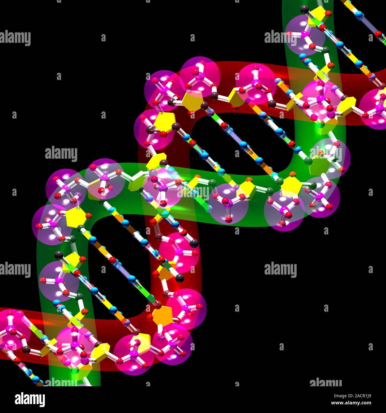 This image may not be used in educational posters DNA molecule ...