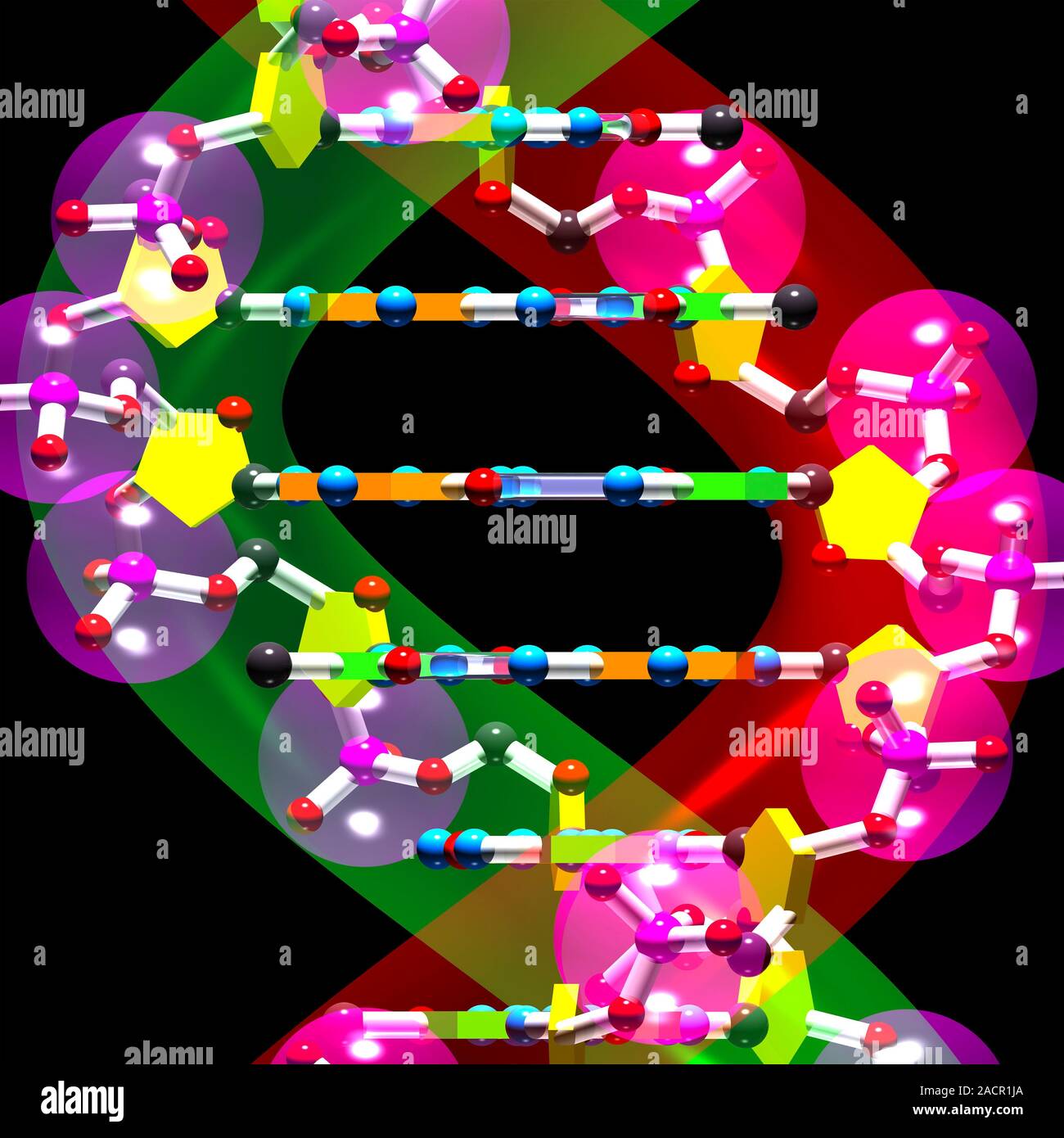 This image may not be used in educational posters DNA molecule ...