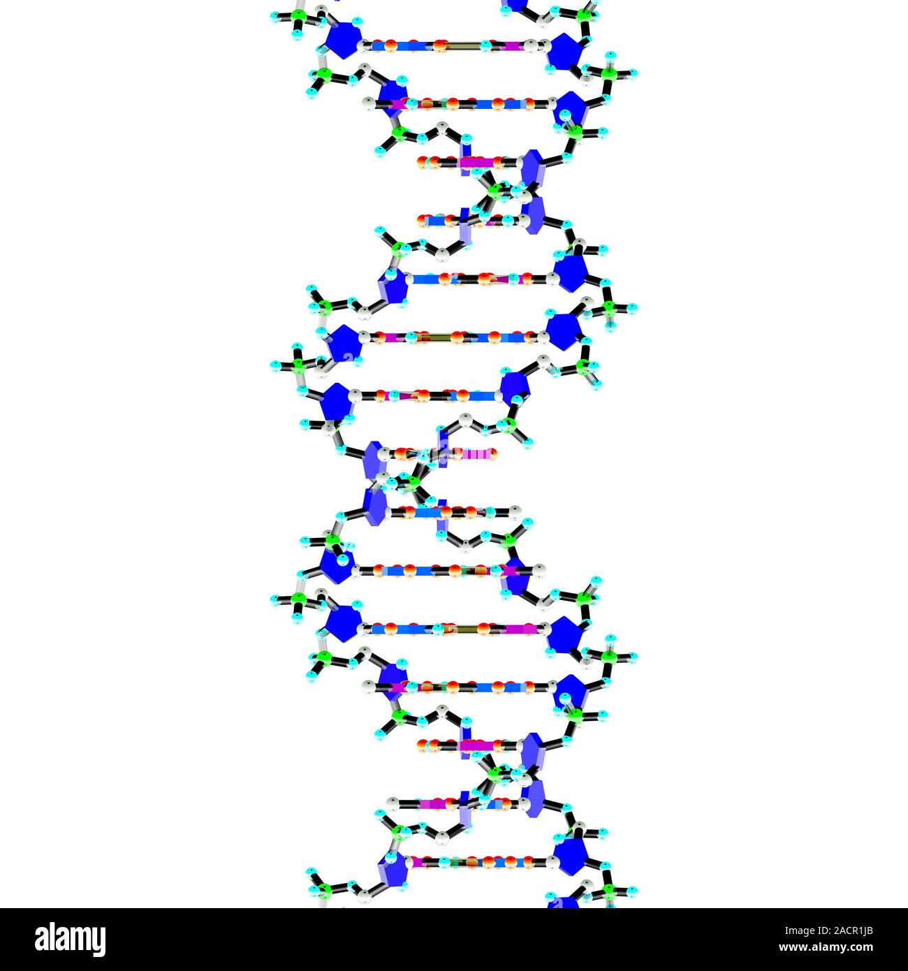 This image may not be used in educational posters DNA molecule ...