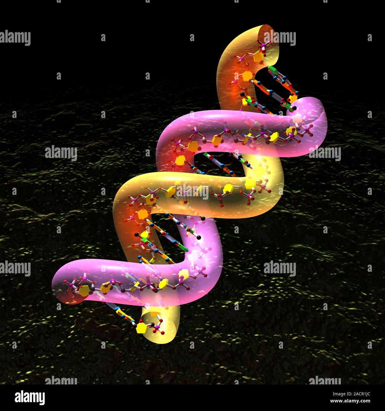 This image may not be used in educational posters DNA molecule ...