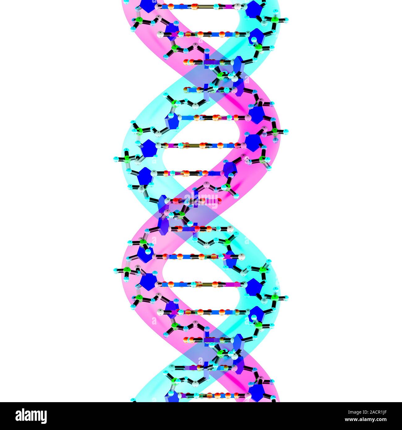 This image may not be used in educational posters DNA molecule ...