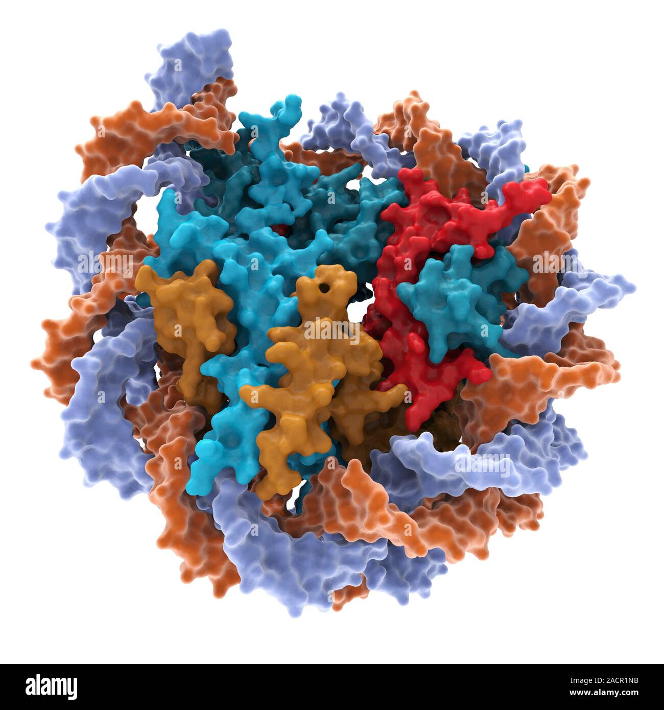 DNA nucleosome. Molecular model of a nucleosome, the fundamental ...