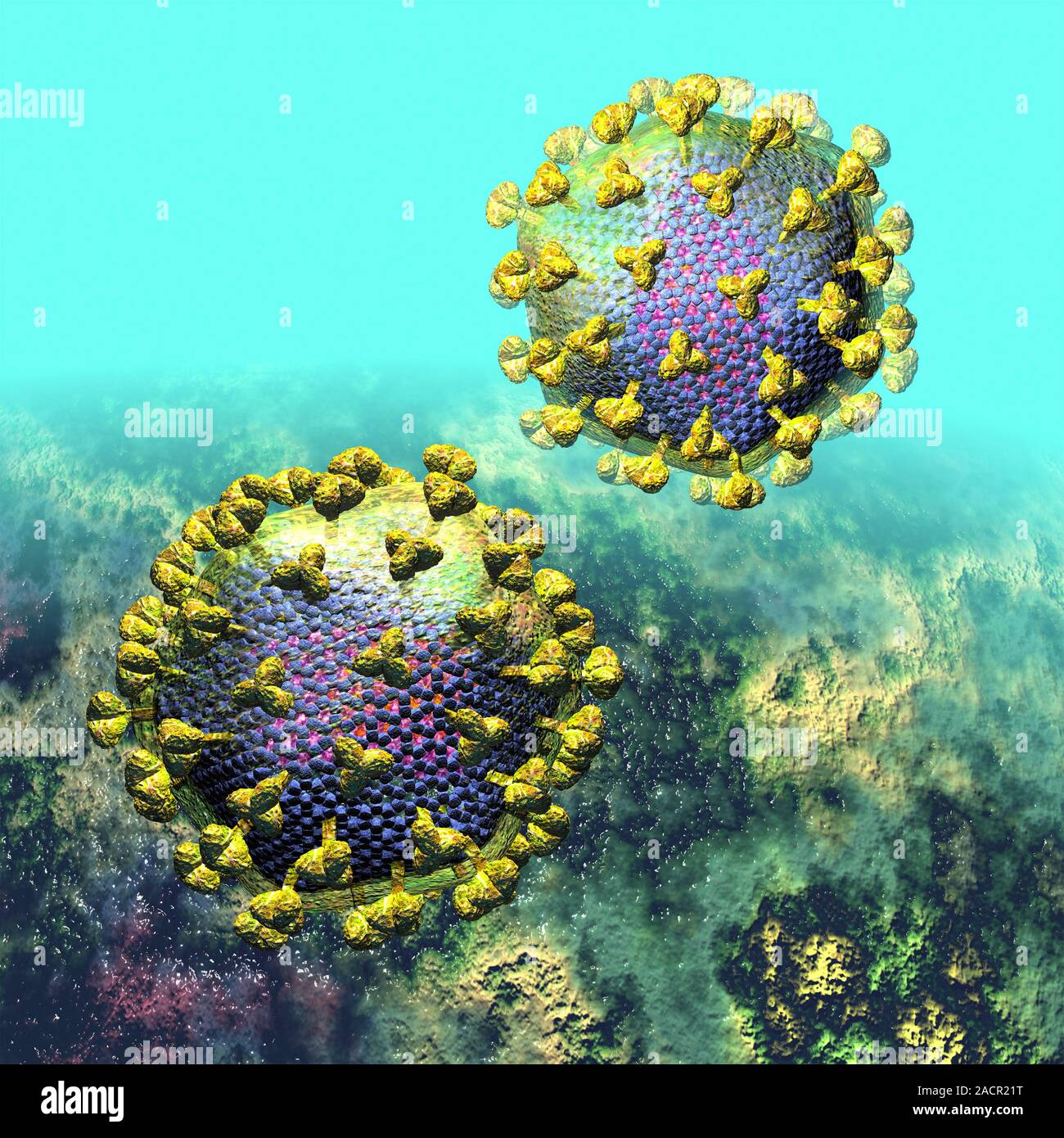 This image may not be used in educational posters HIV particles ...