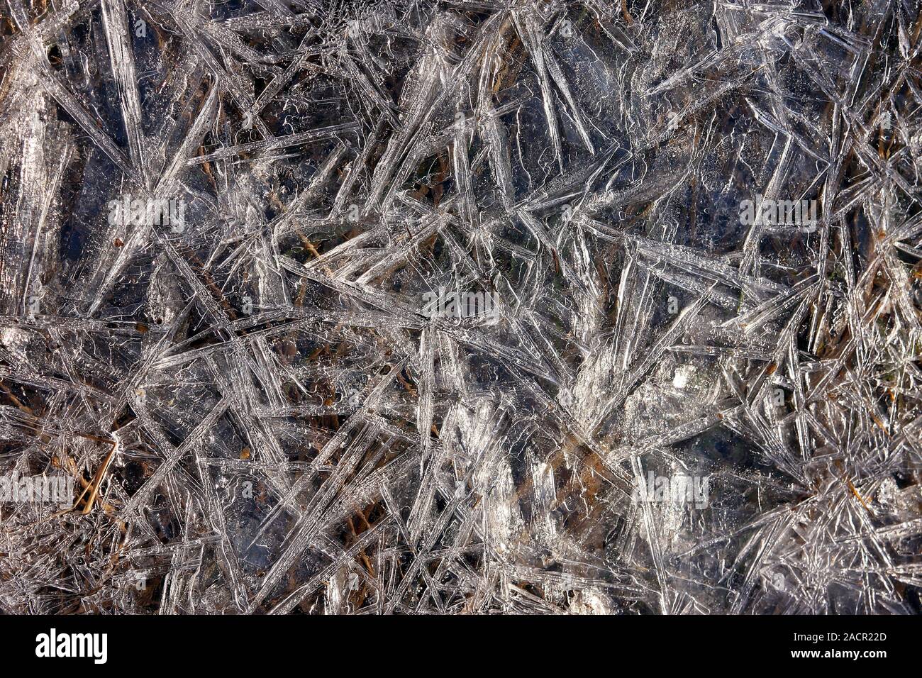 Frost flowers hi-res stock photography and images - Alamy