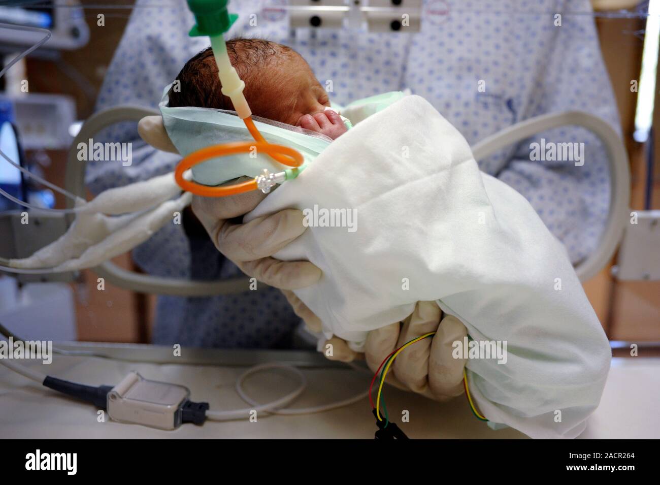 Premature baby intensive care unit. Nurse with a premature baby in an ...