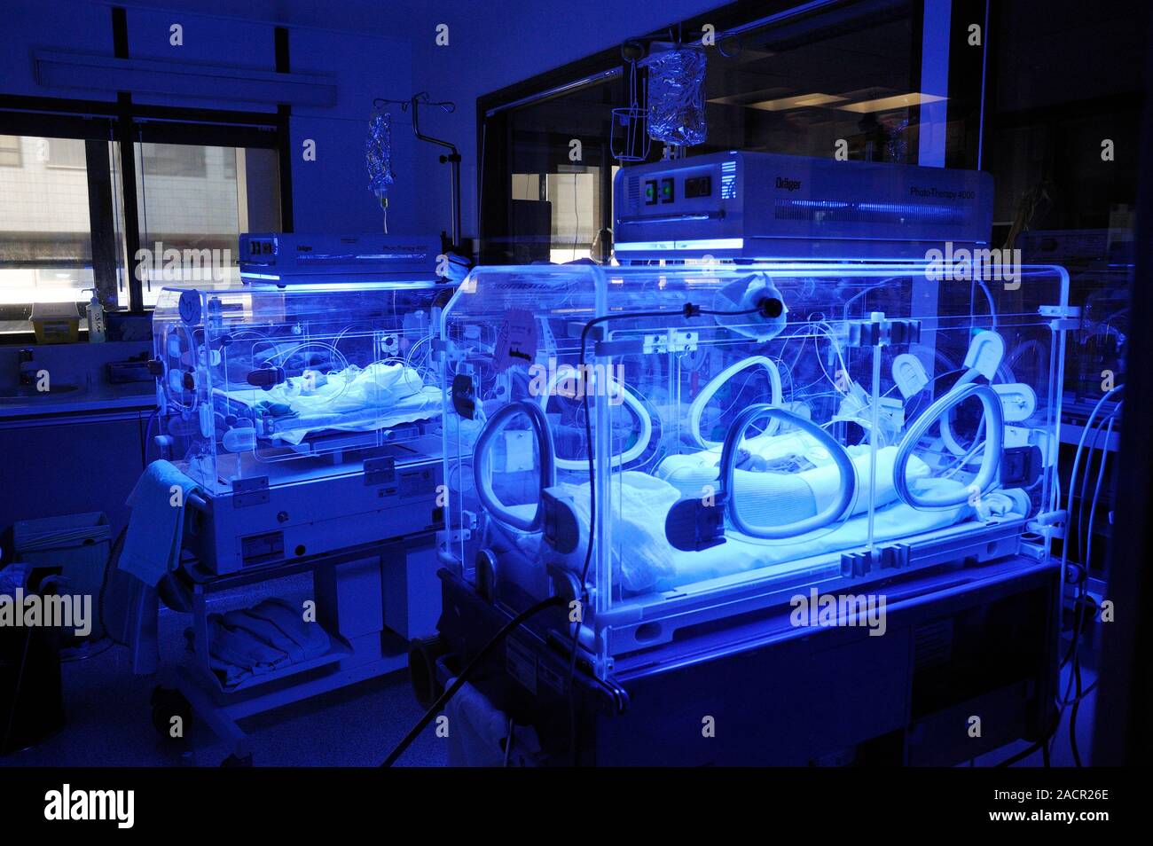 Premature baby phototherapy. Premature baby in an incubator receiving ...