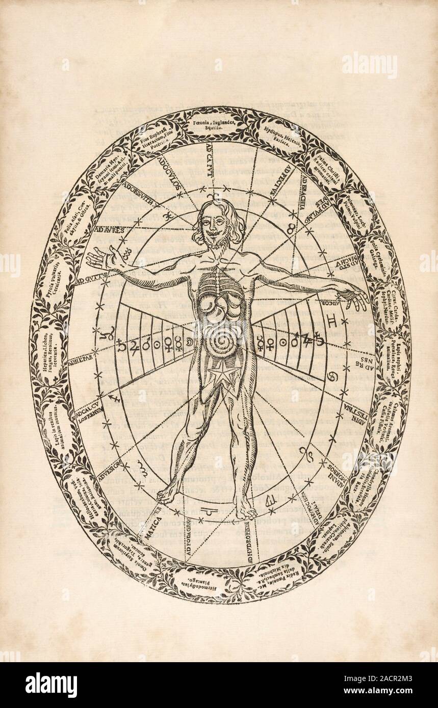 Microcosm and macrocosm. 17th-century artwork titled 'Typus Sympathicus ...