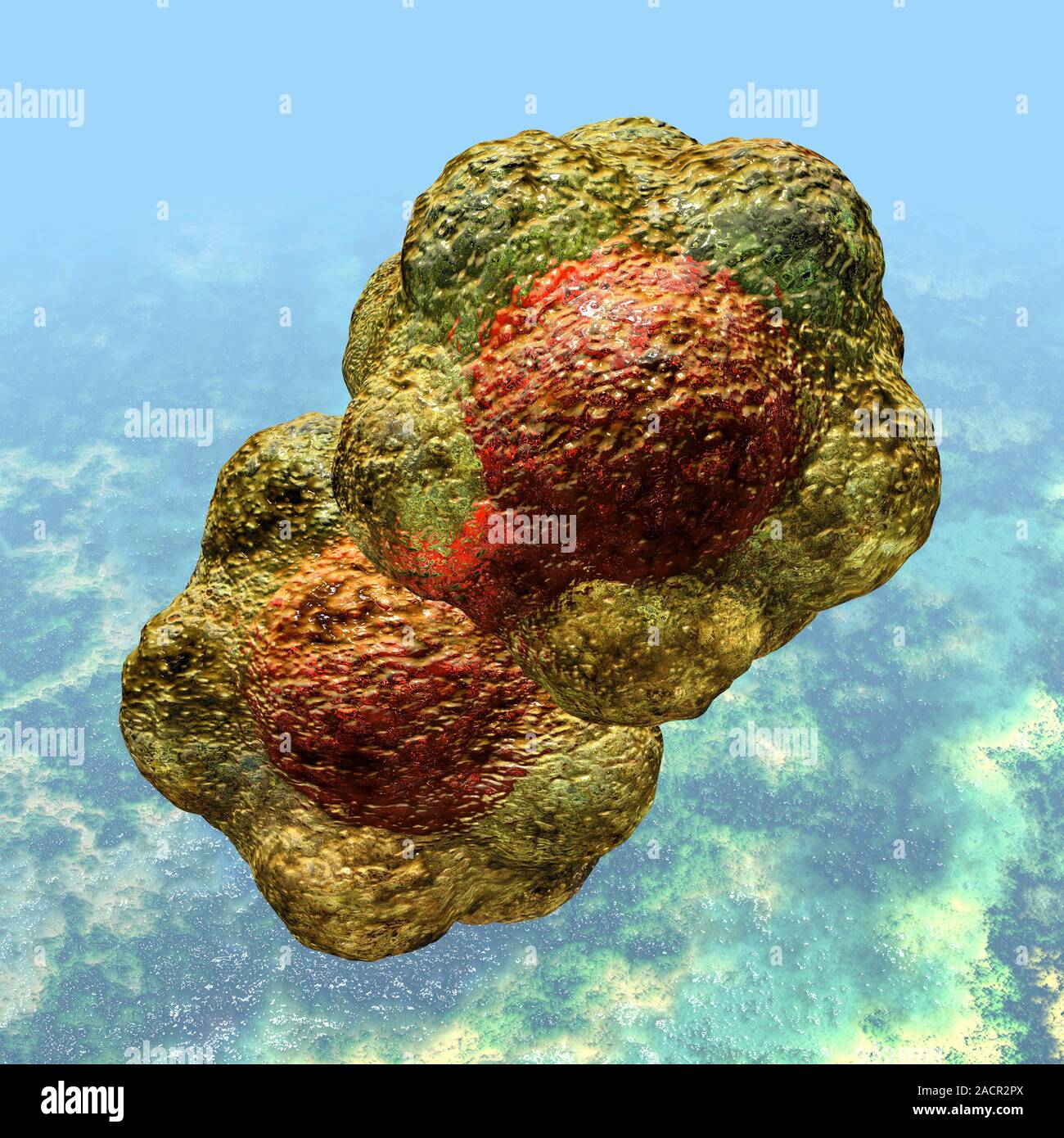 This image may not be used in educational posters Geminivirus particle ...