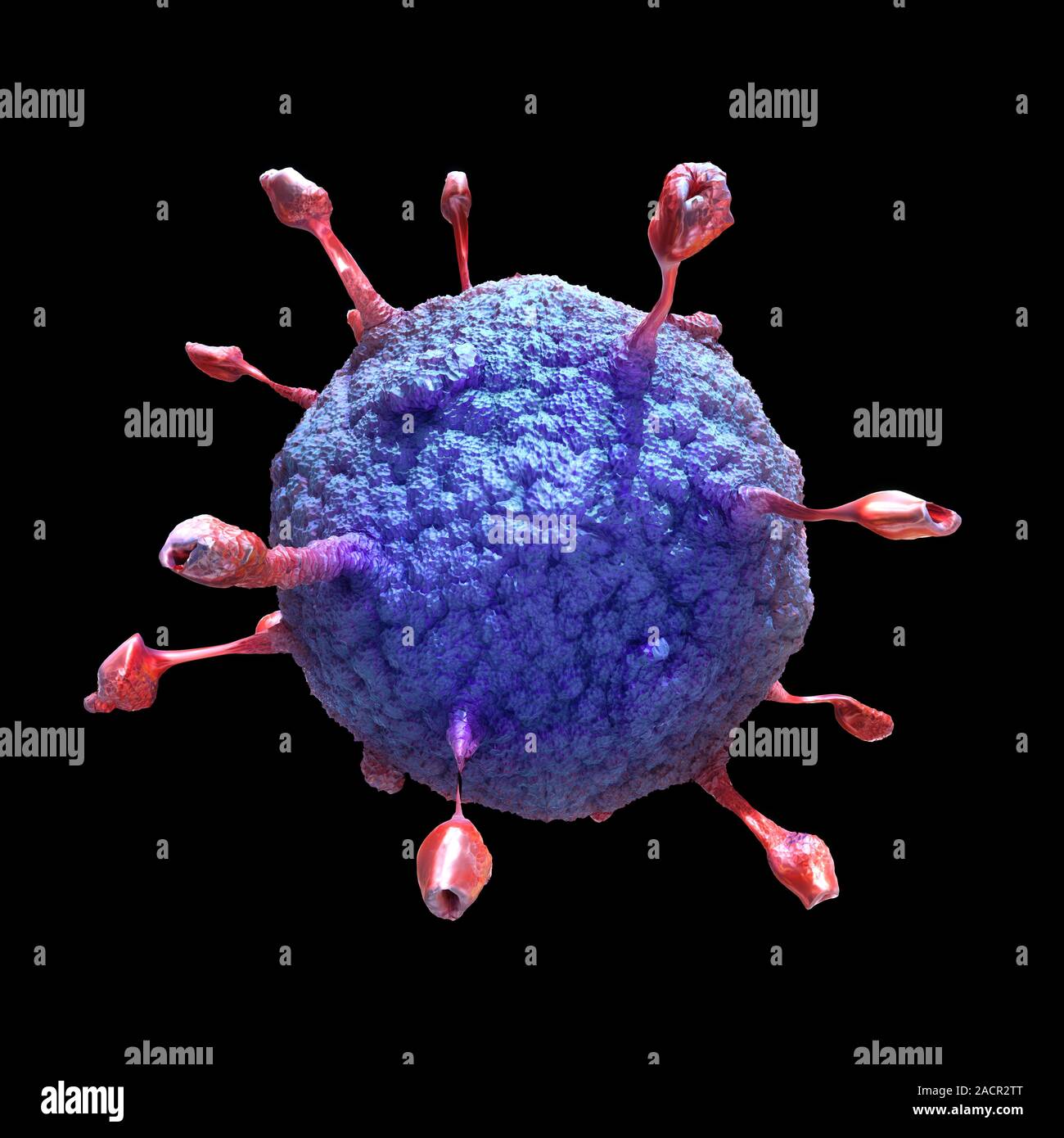 Computer artwork of a generic virus particle, depicting virus types ...