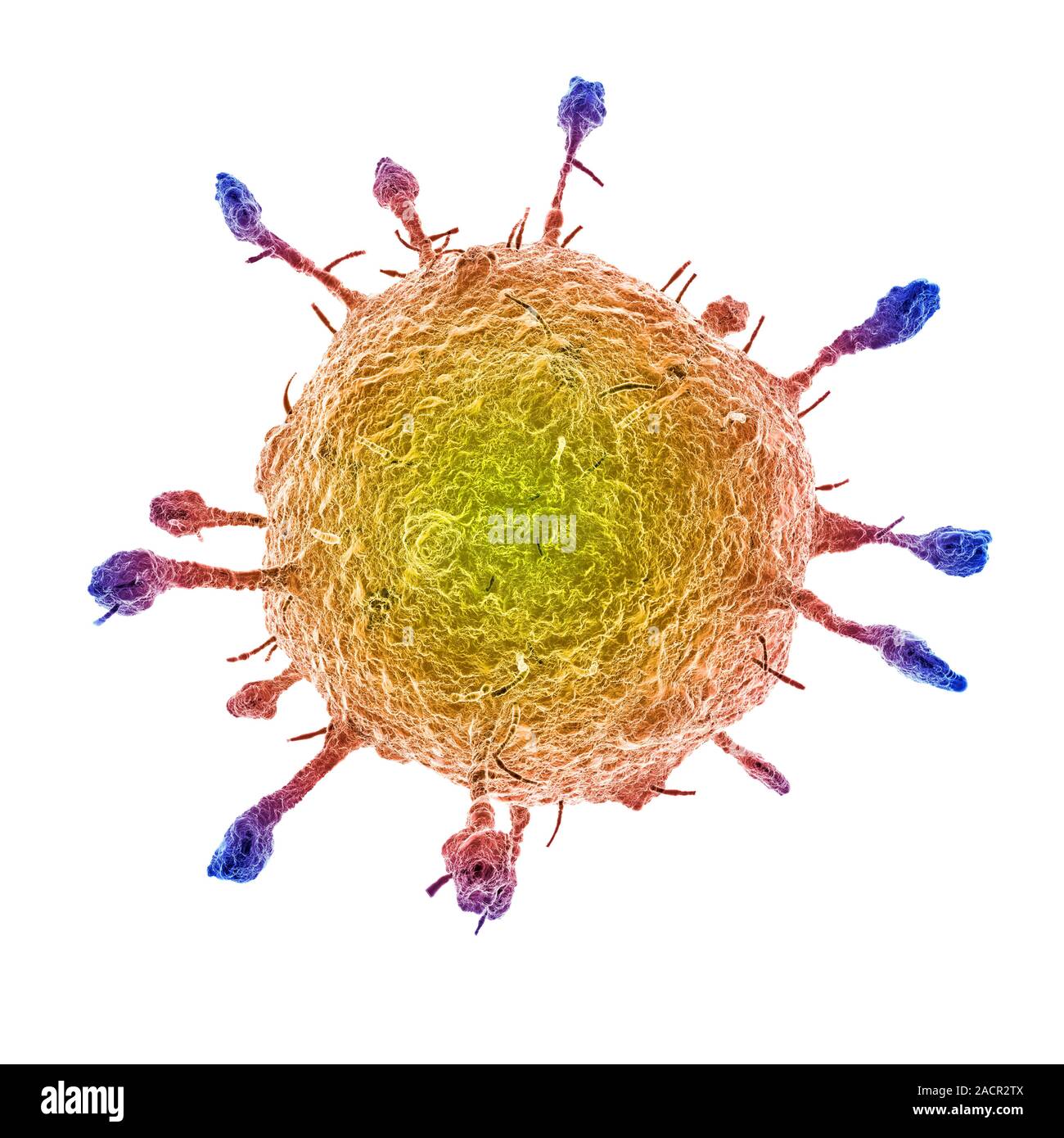 Computer artwork of a generic virus particle, depicting virus types ...