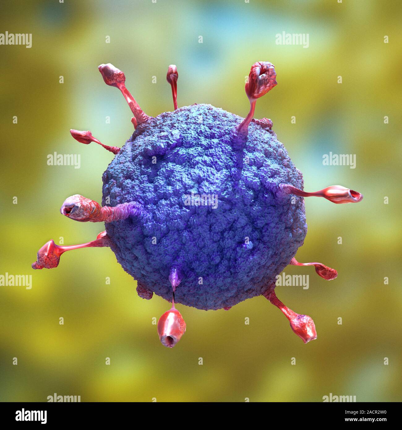 Computer artwork of a generic virus particle, depicting virus types ...