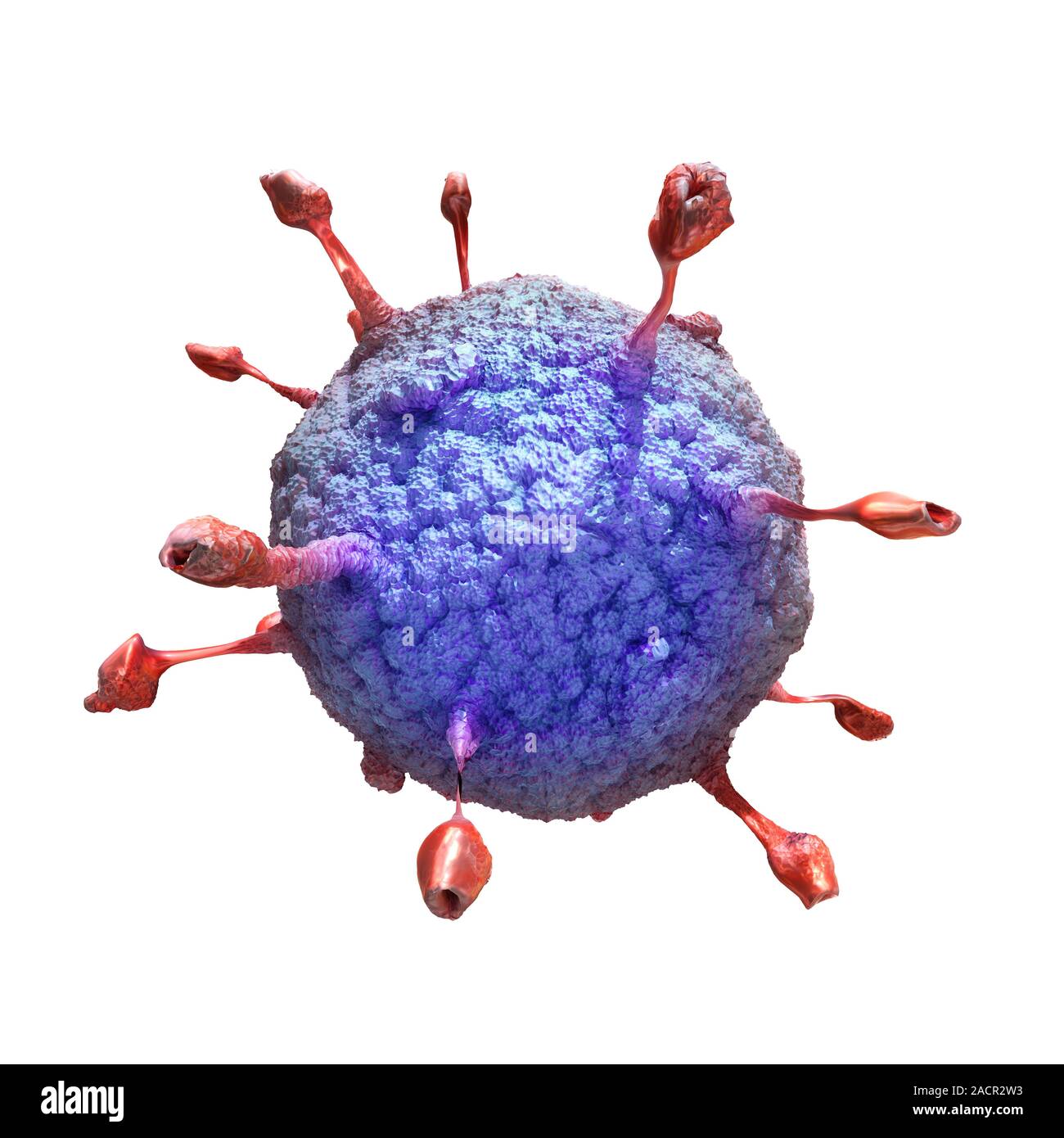 Computer artwork of a generic virus particle, depicting virus types ...
