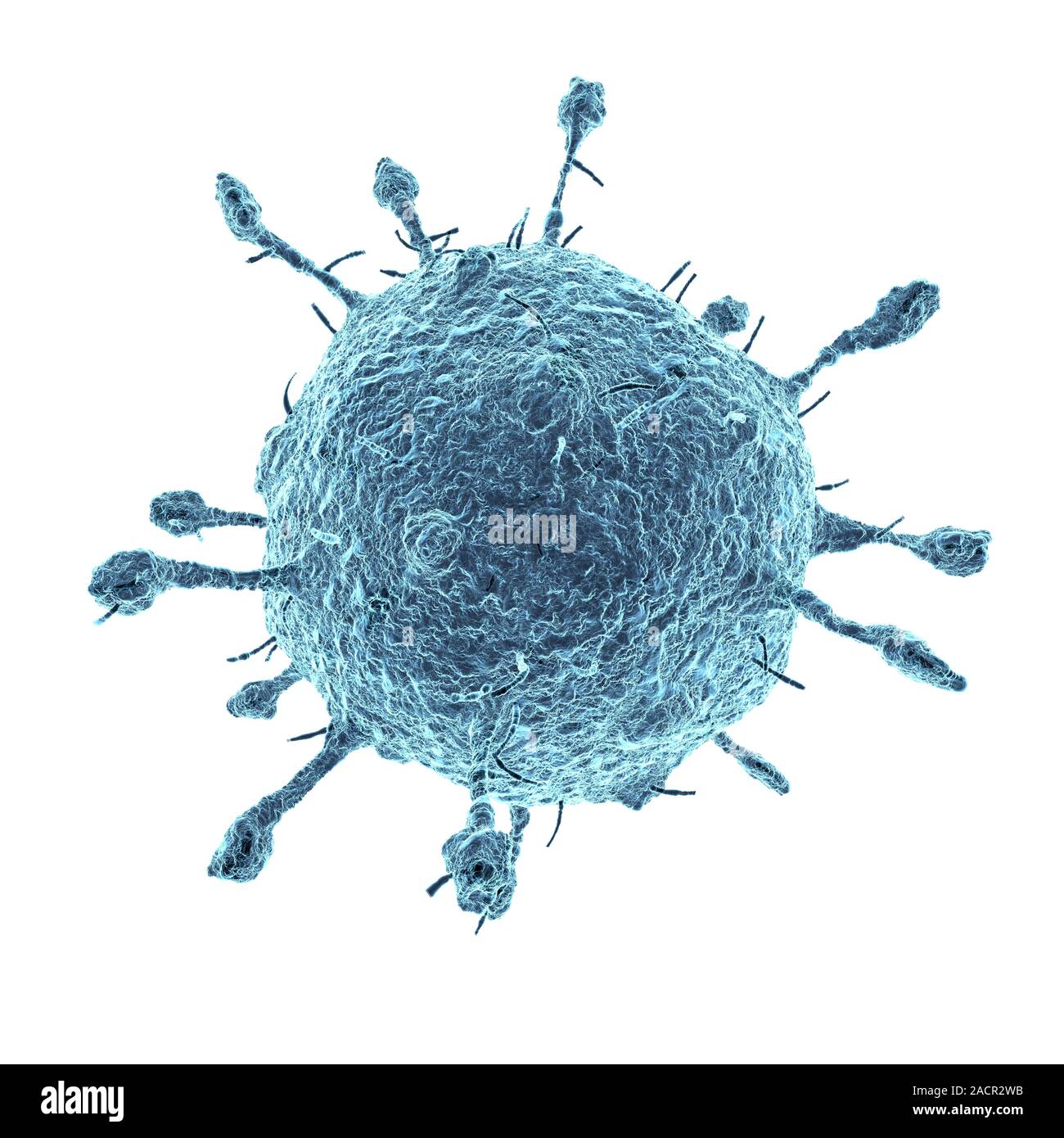 Computer artwork of a generic virus particle, depicting virus types ...