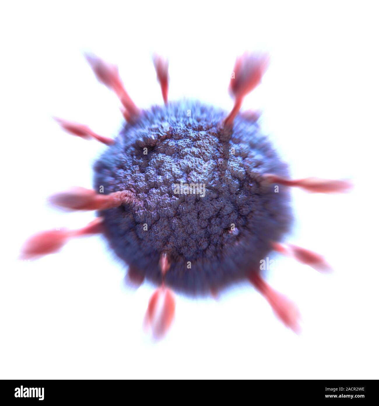 Computer artwork of a generic virus particle, depicting virus types ...